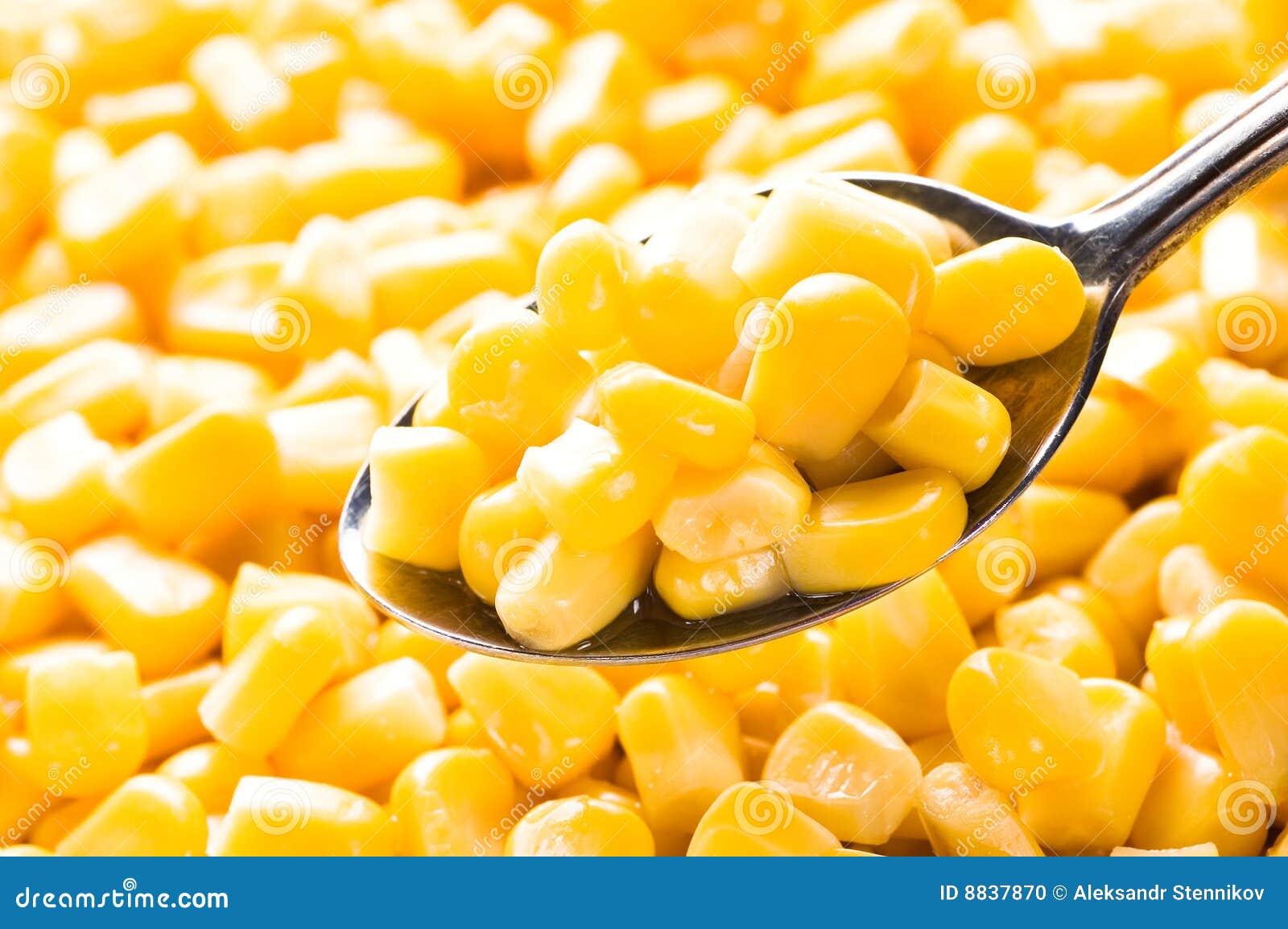 Corn on a spoon stock photo. Image of health, crop, healthy - 8837870