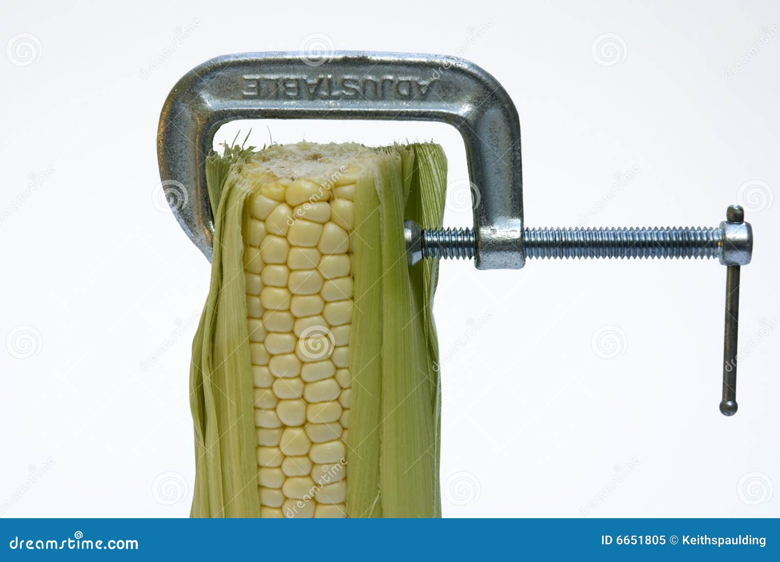 Corn Squeeze stock image. Image of pressure, fuel, vice - 6651805