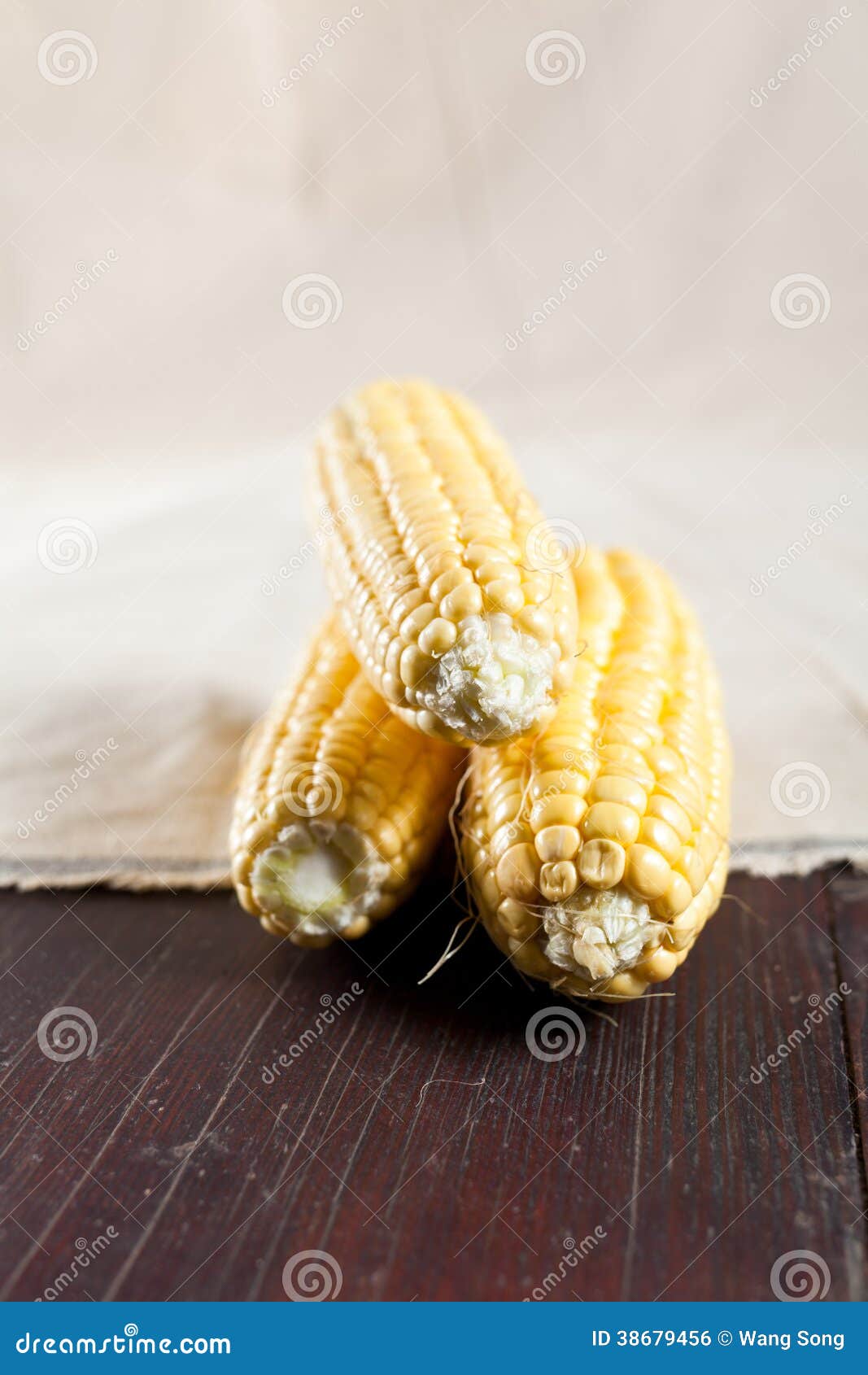 Corn stock photo. Image of maize, crop, farm, corn, ingredient - 38679456