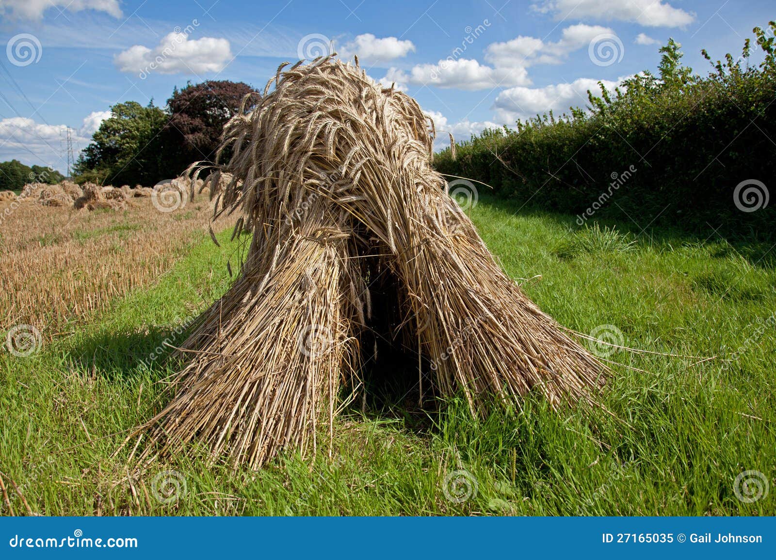 Corn Stacks stock image. Image of bundle, thatching, straw - 27165035