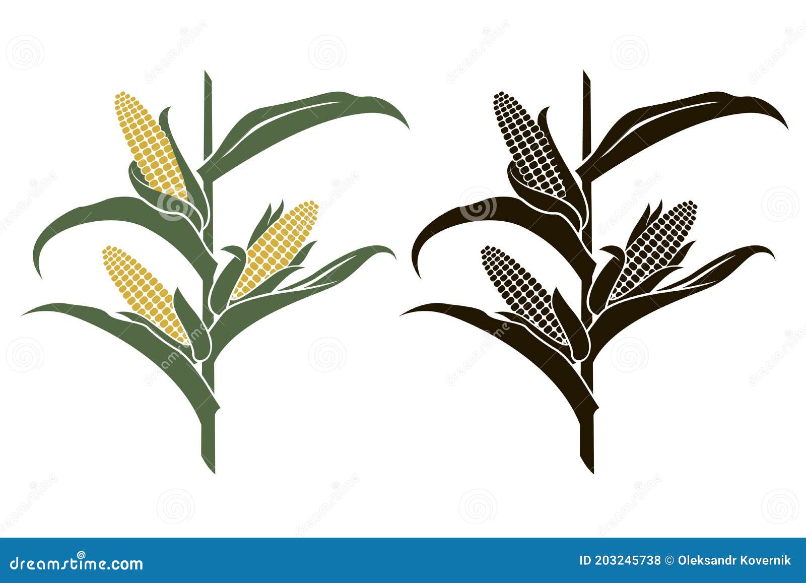 Corn stalk illustrations stock vector. Illustration of icon - 203245738