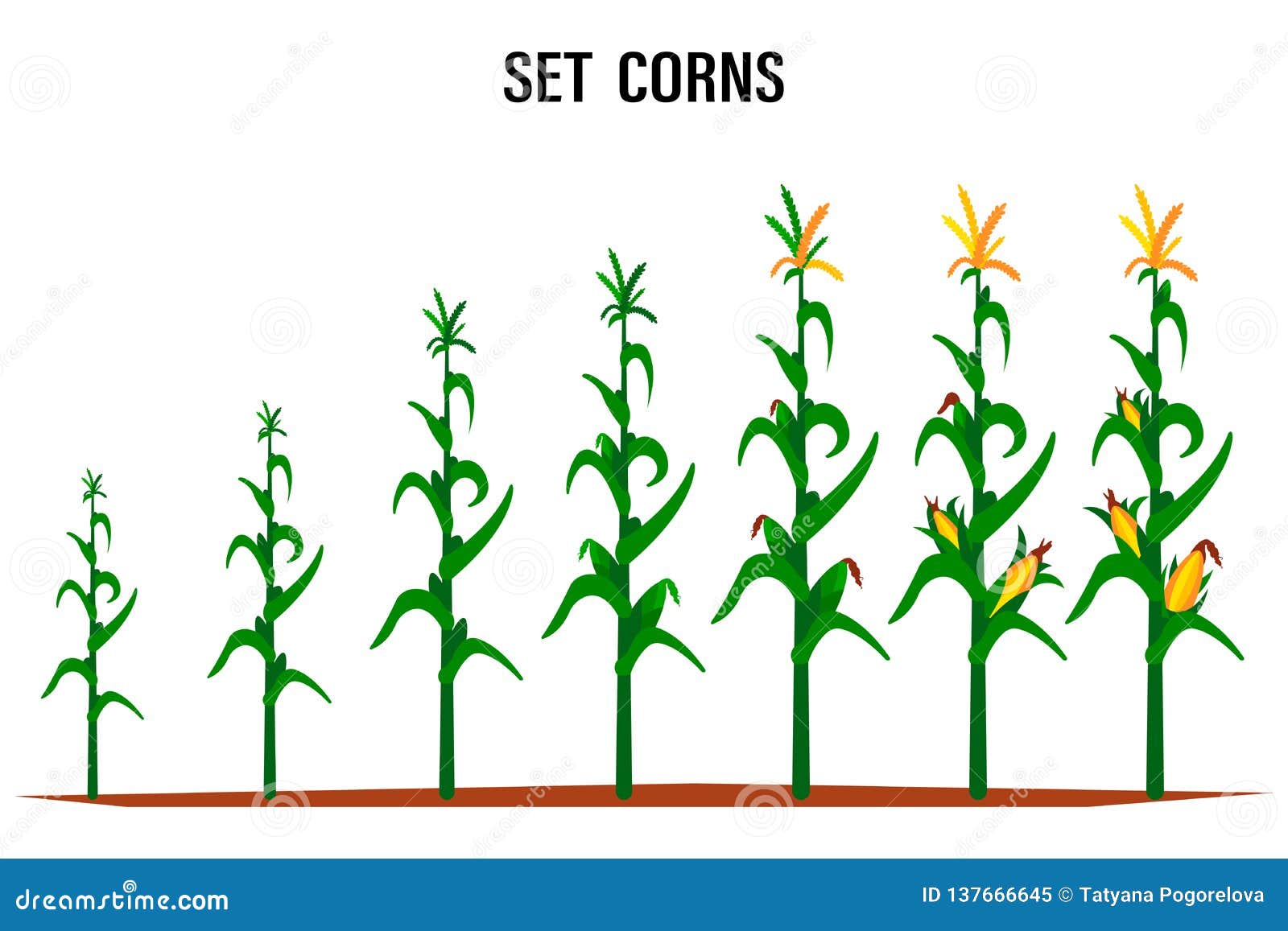 Stalk Cartoons, Illustrations & Vector Stock Images - 22846 Pictures to ...