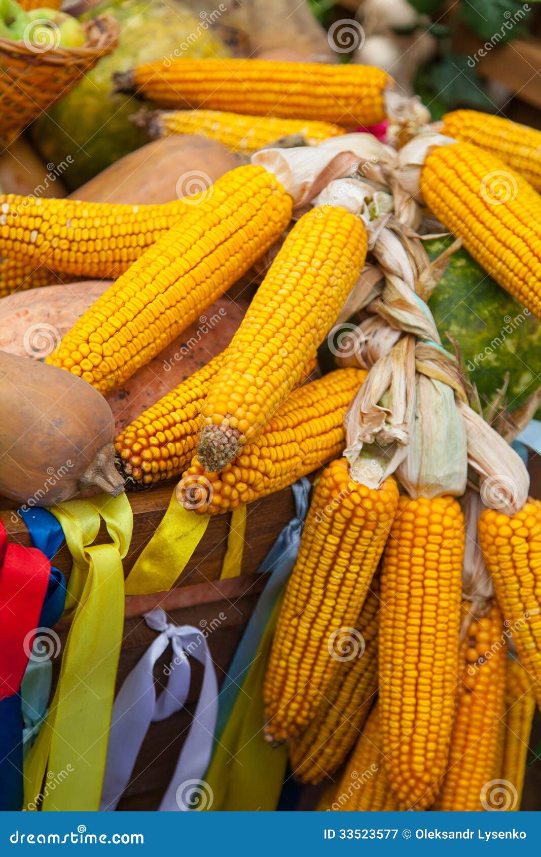 Corn still life stock image. Image of season, aged, food - 33523577
