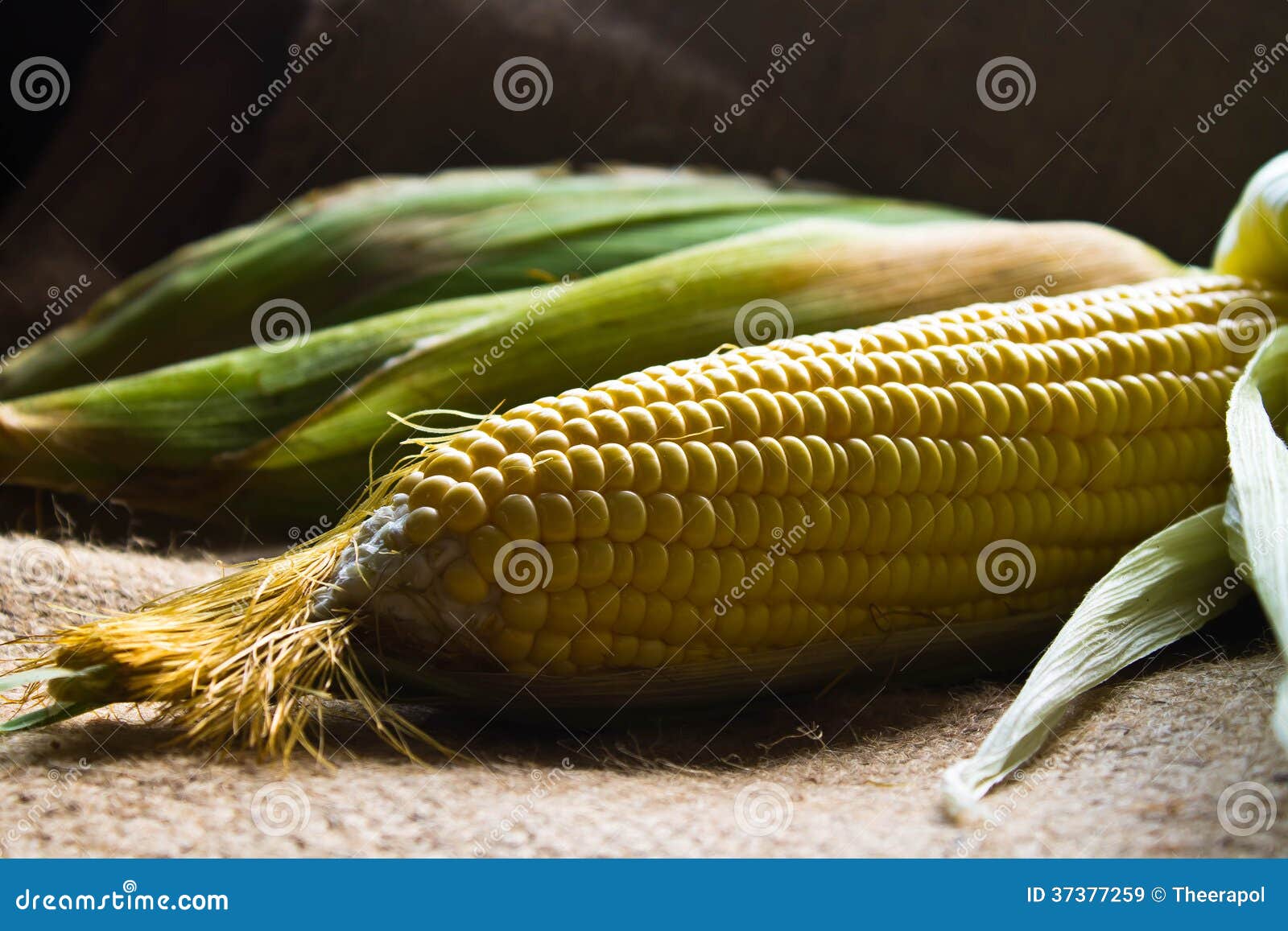 Corn stock image. Image of diet, agriculture, cuisine - 37377259