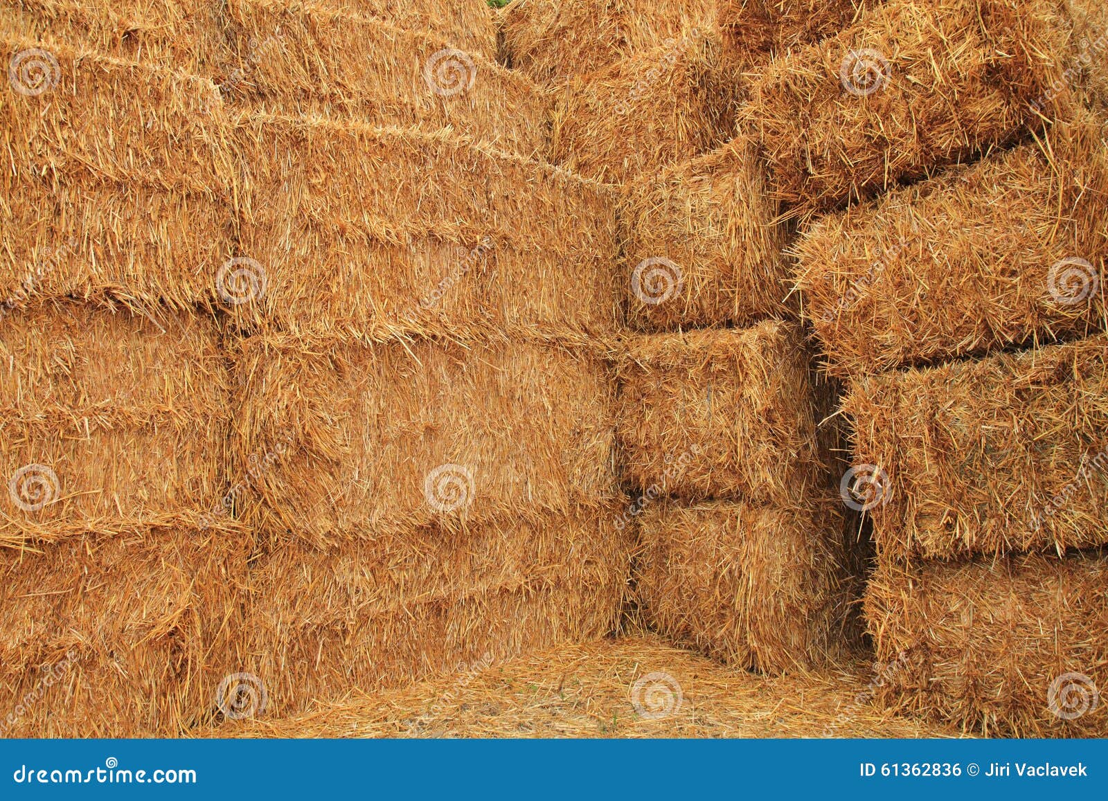 Corn straw cubes stock photo. Image of golden, field - 61362836