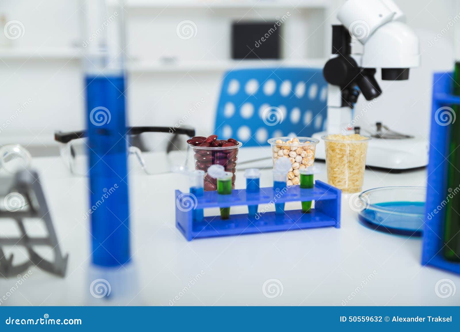 Corn Subject To Selection In Microbiological Laboratory Stock Photo ...