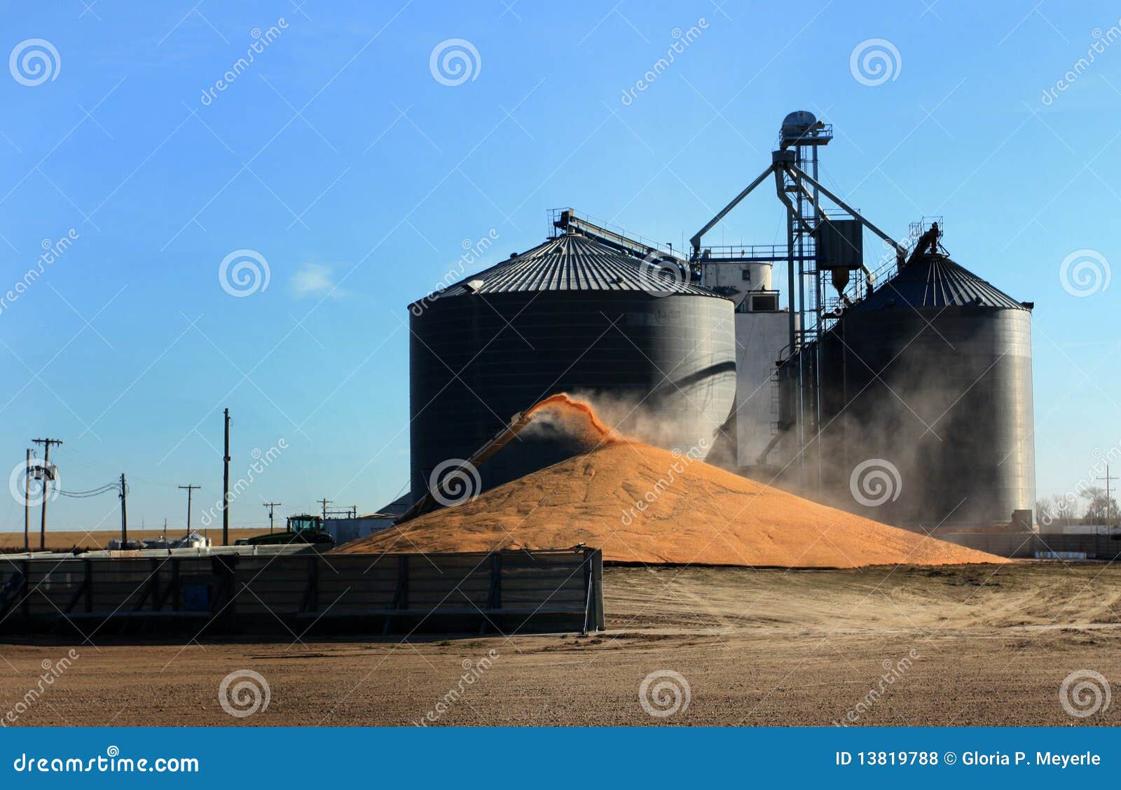 Corn Surplus stock photo. Image of farmland, harvest - 13819788
