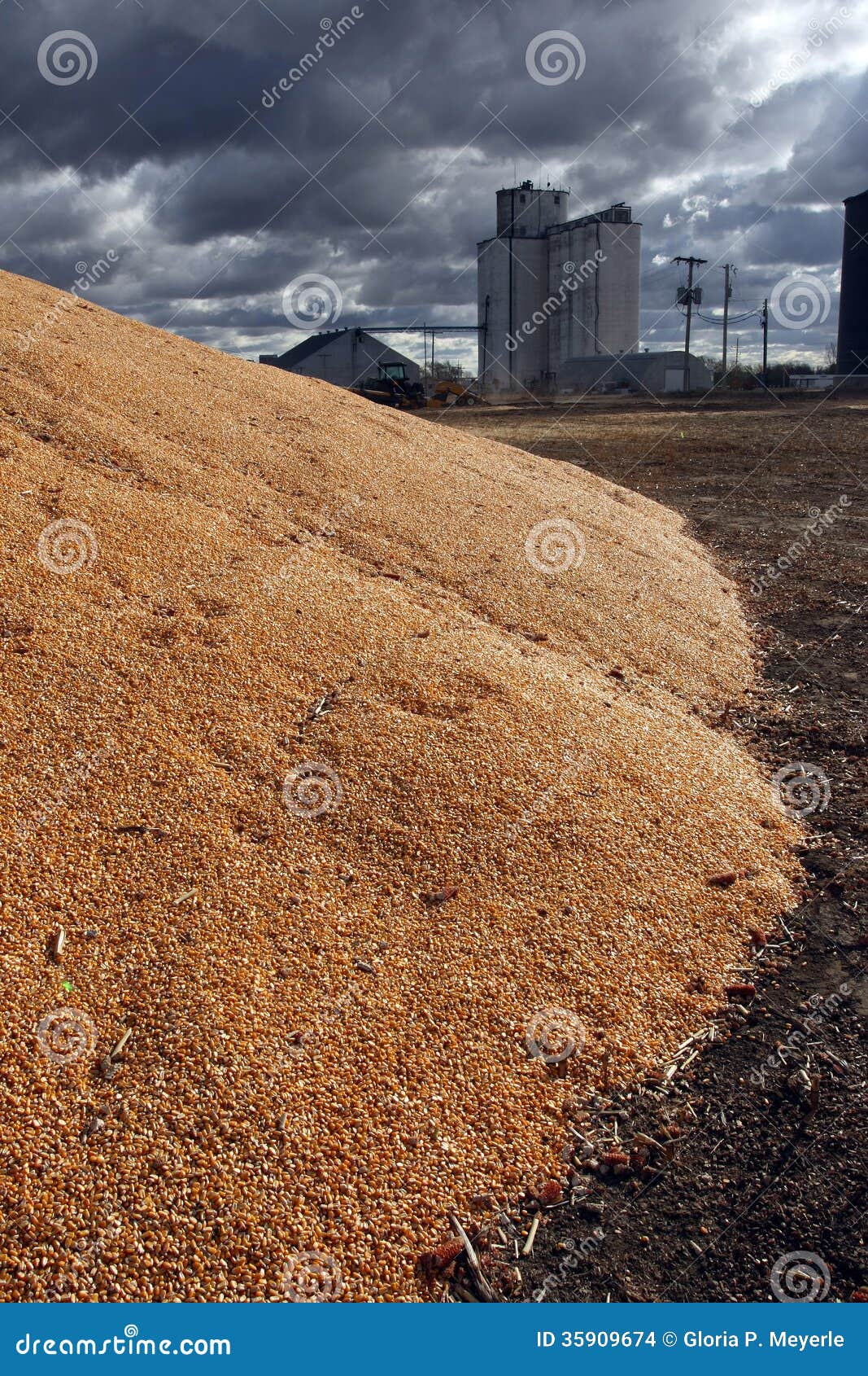 Corn Surplus And Elevator Royalty-Free Stock Image | CartoonDealer.com ...