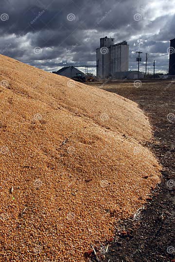 Corn Surplus and Elevator stock photo. Image of farming - 35909674