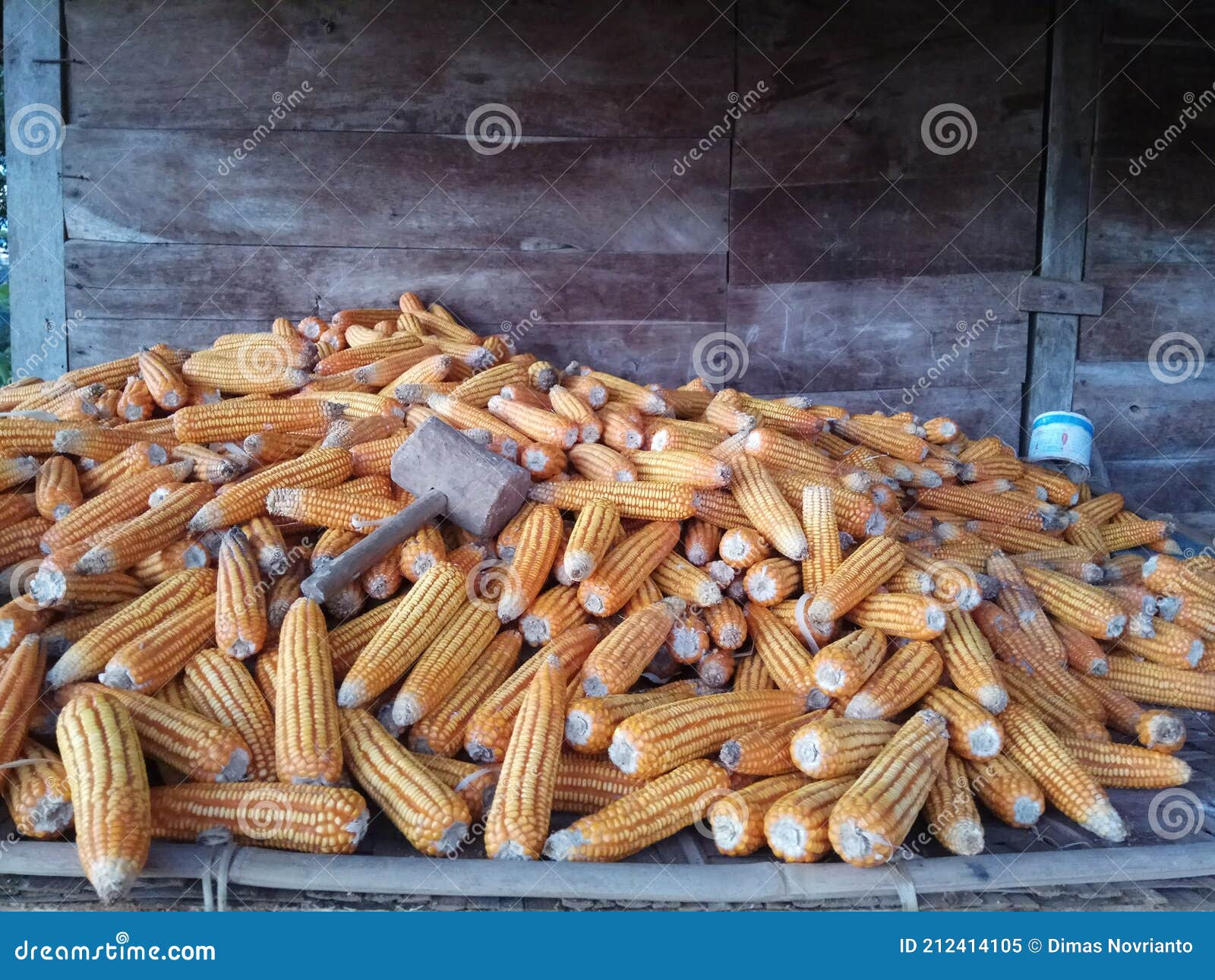 Corn on the Table stock image. Image of yellow, table - 212414105