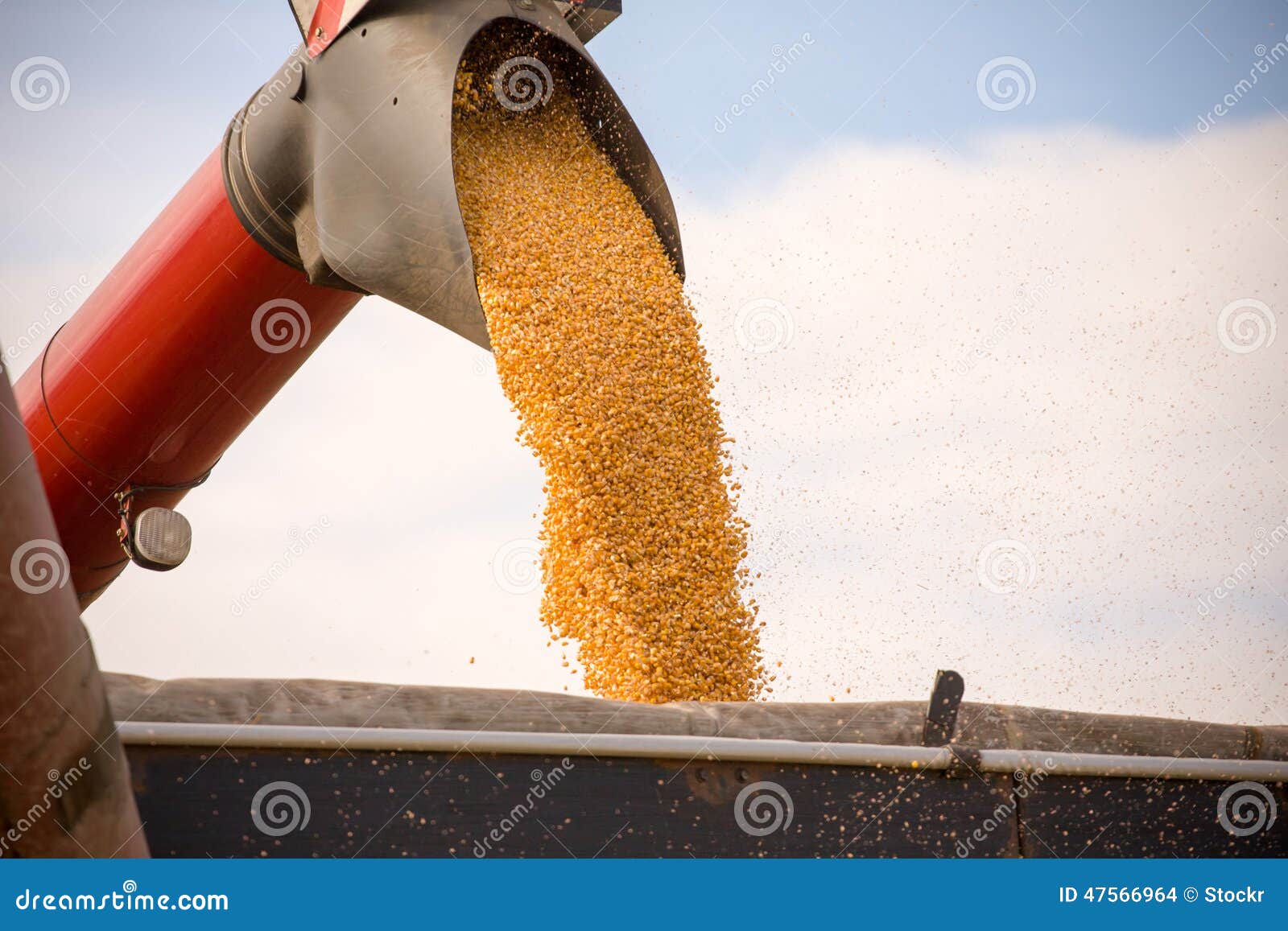 Corn tank stock photo. Image of agriculture, autumn, fall - 47566964