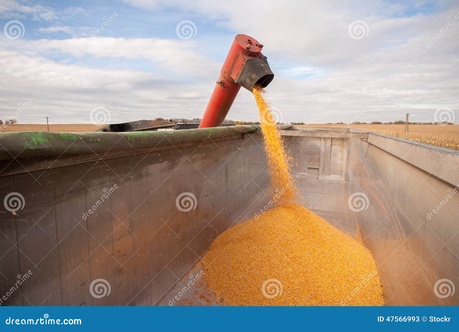 Corn tank stock image. Image of landscape, brazil, harvest - 47566993