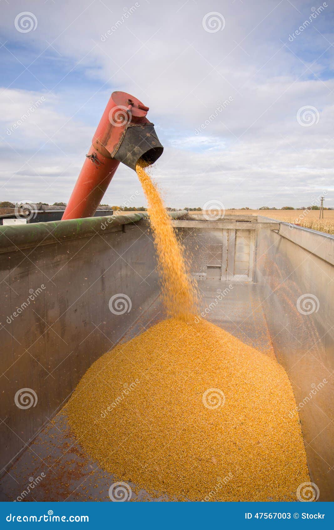 Corn tank stock image. Image of field, corn, blue, agricultural - 47567003