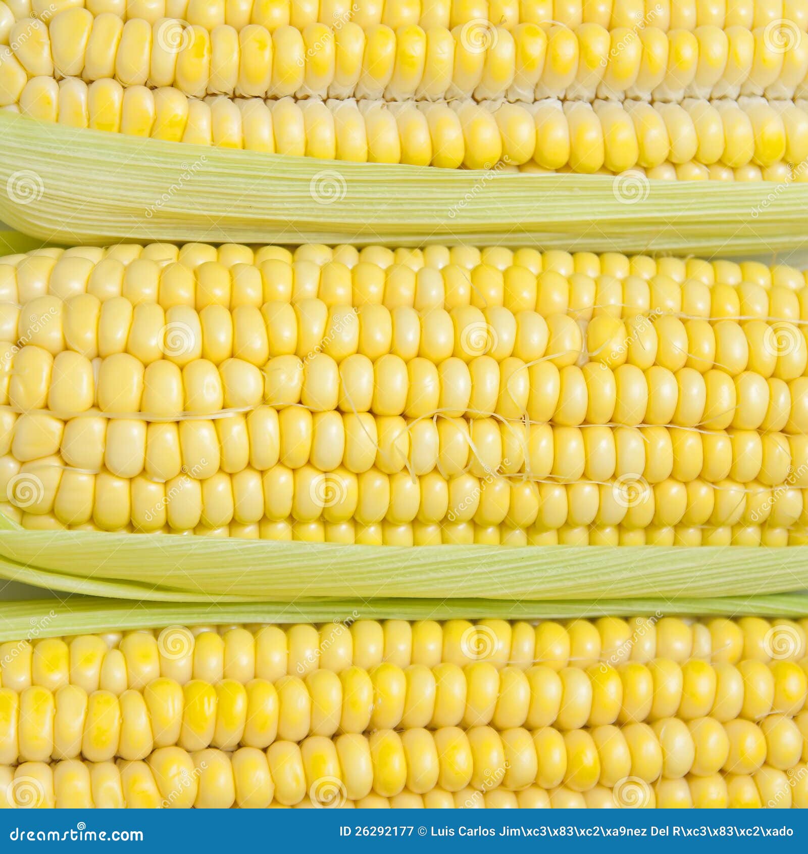 Corn texture stock image. Image of nutrition, ingredient - 26292177