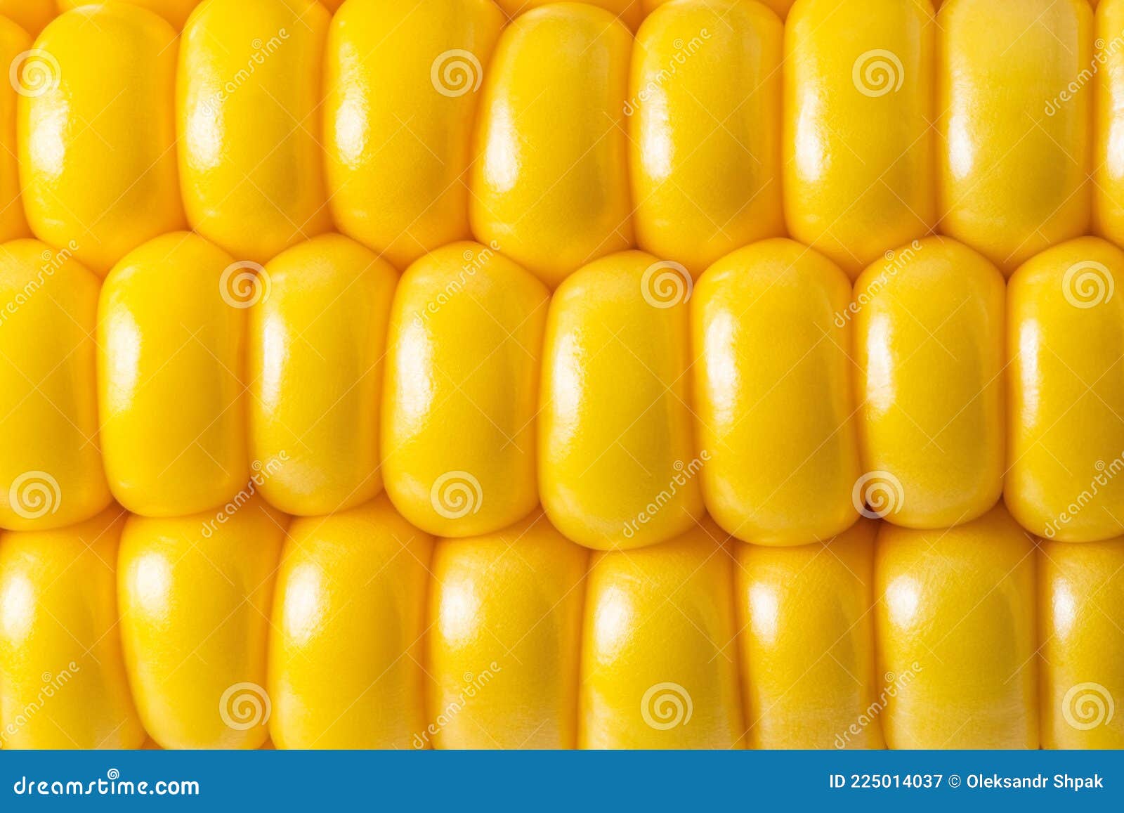 Corn Texture Background. Corn Grains Close Up Stock Image - Image of ...