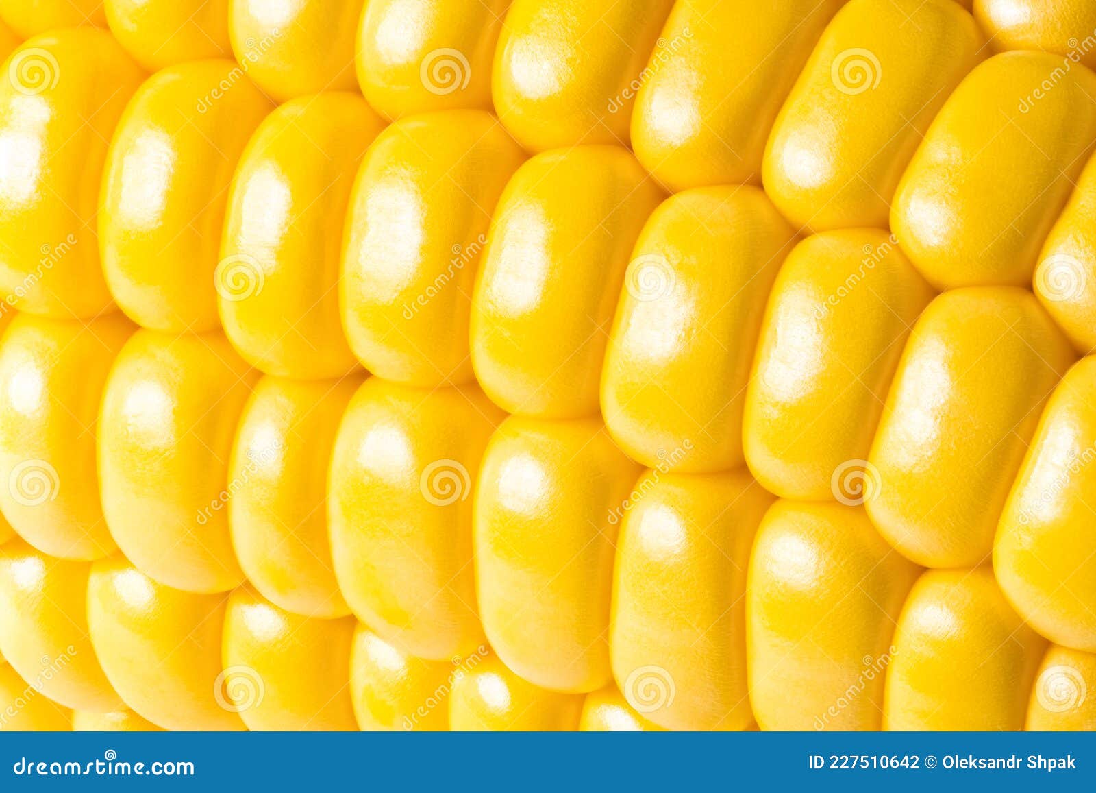 Corn Texture Background. Corn Grains Close Up Stock Photo - Image of ...