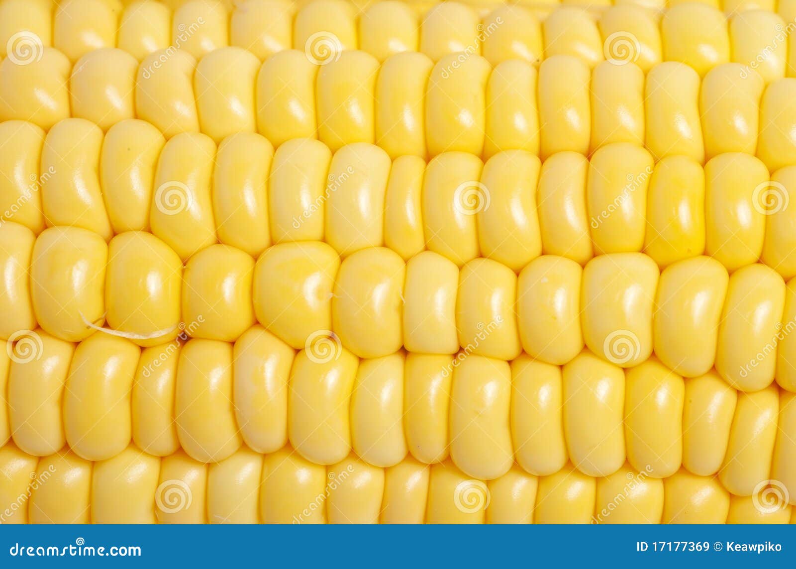 Corn Texture Closeup Royalty Free Stock Images - Image: 17177369