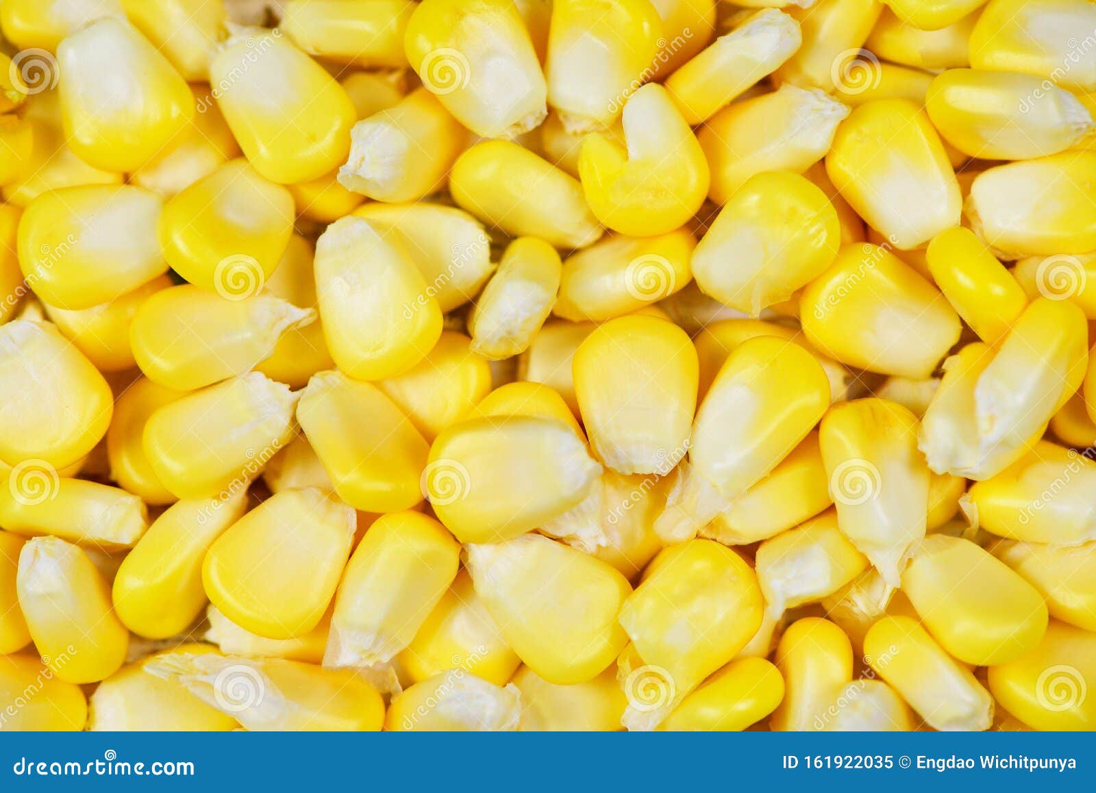 Corn Texture for Cooked Food - Yellow Corns Background Stock Image ...
