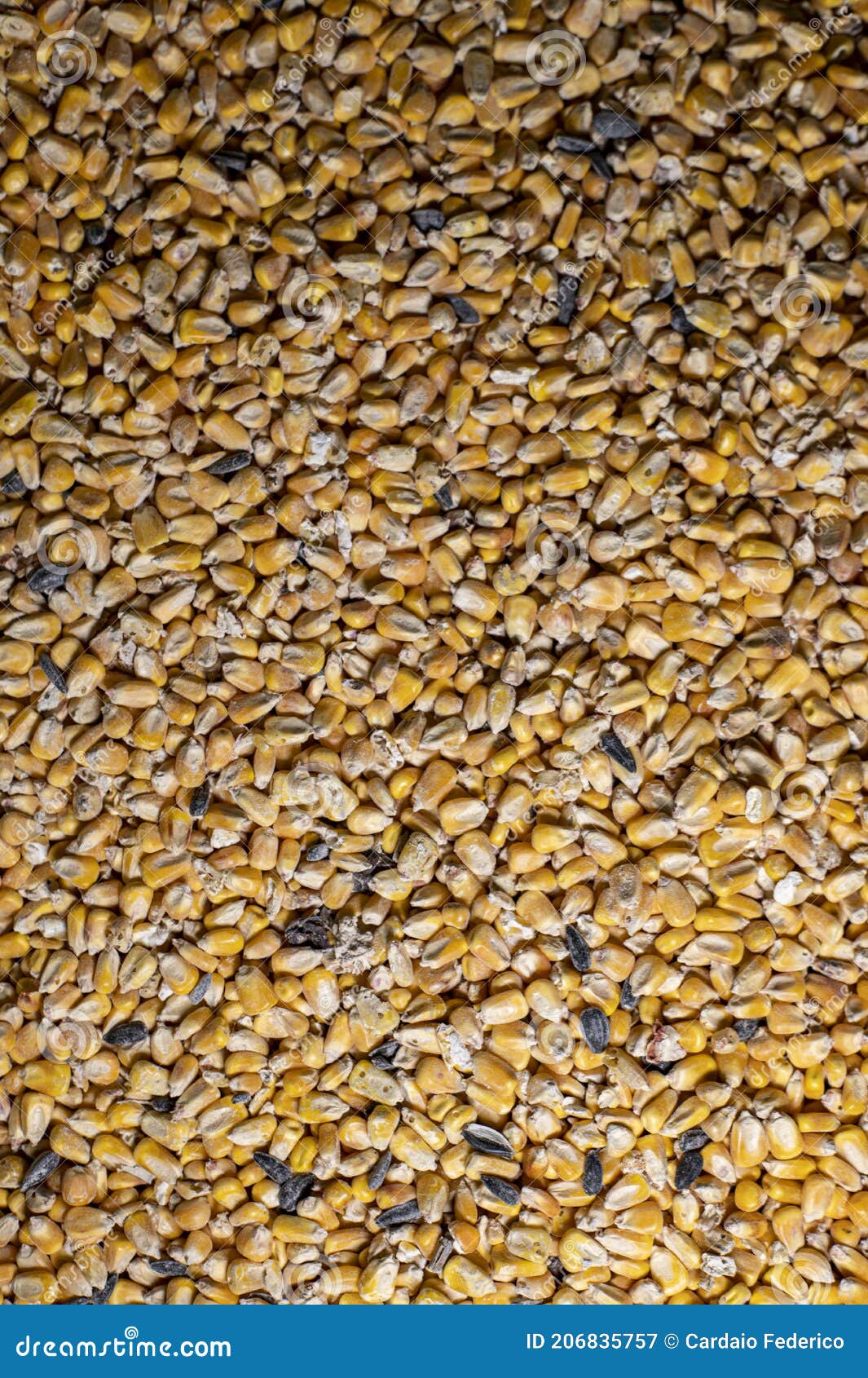 Corn Texture for Farm Animal Feed Stock Image - Image of pagoda, statue ...