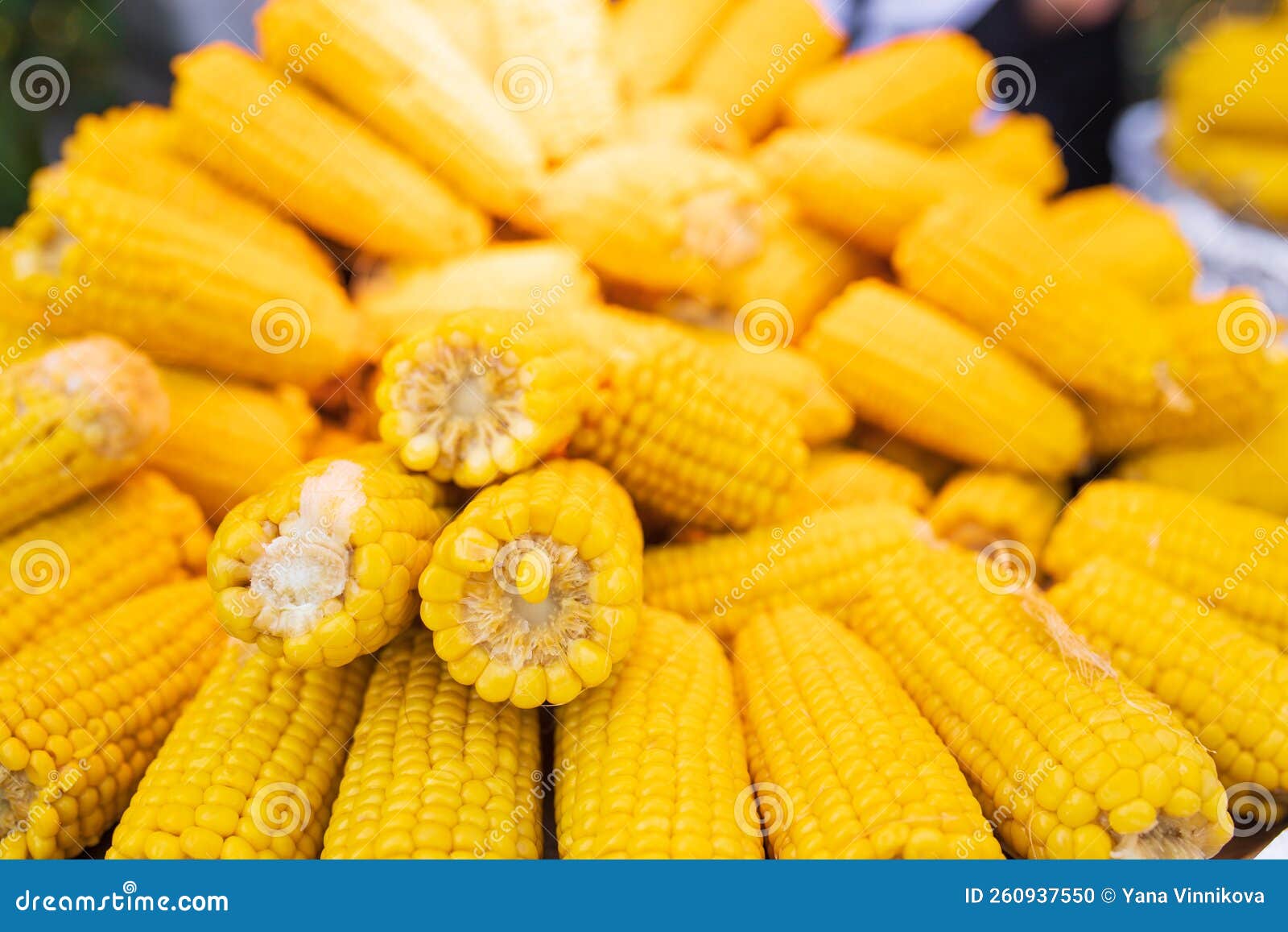 Corn Texture. Yellow Corns As Background Stock Photo - Image of ...