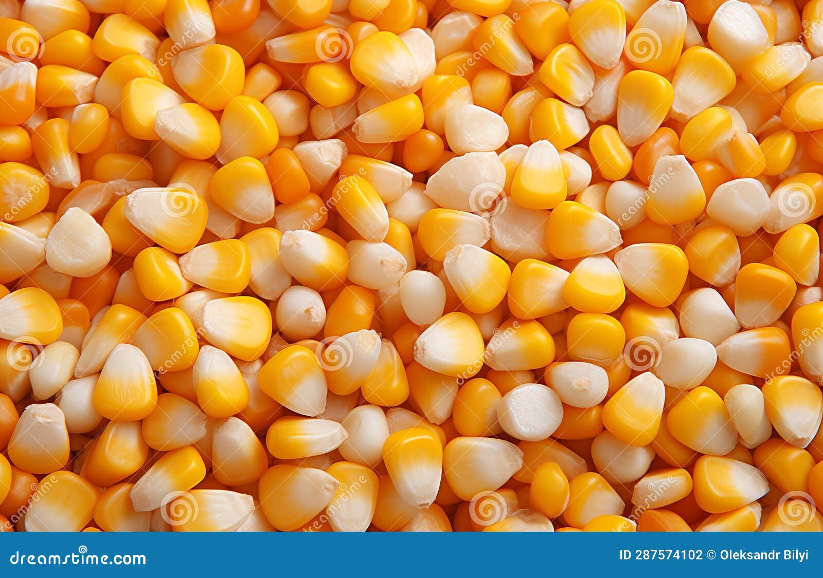 Corn Texture. Yellow Corns As Background Stock Photo - Image of ...