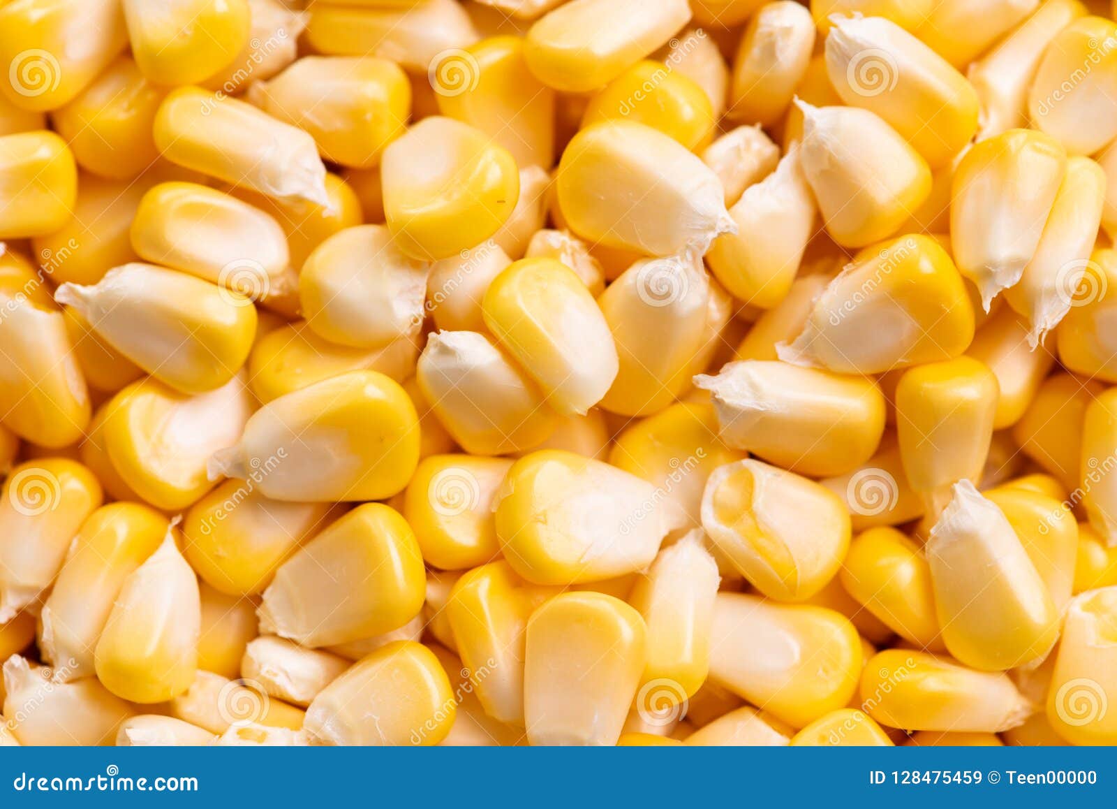 Corn Texture. Yellow Corns As Background Stock Image - Image of grain ...