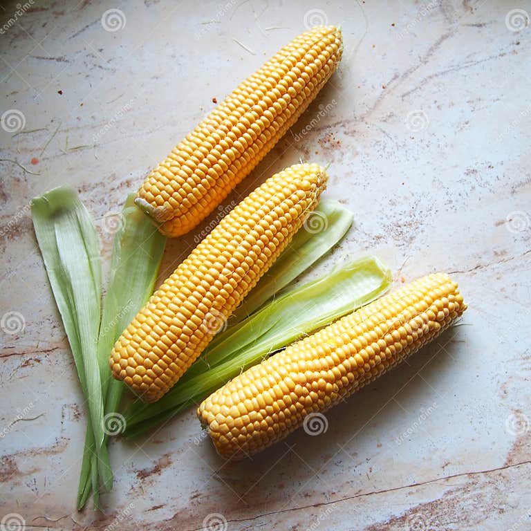 Corn stock image. Image of cuisine, diet, organic, cereale - 60320303