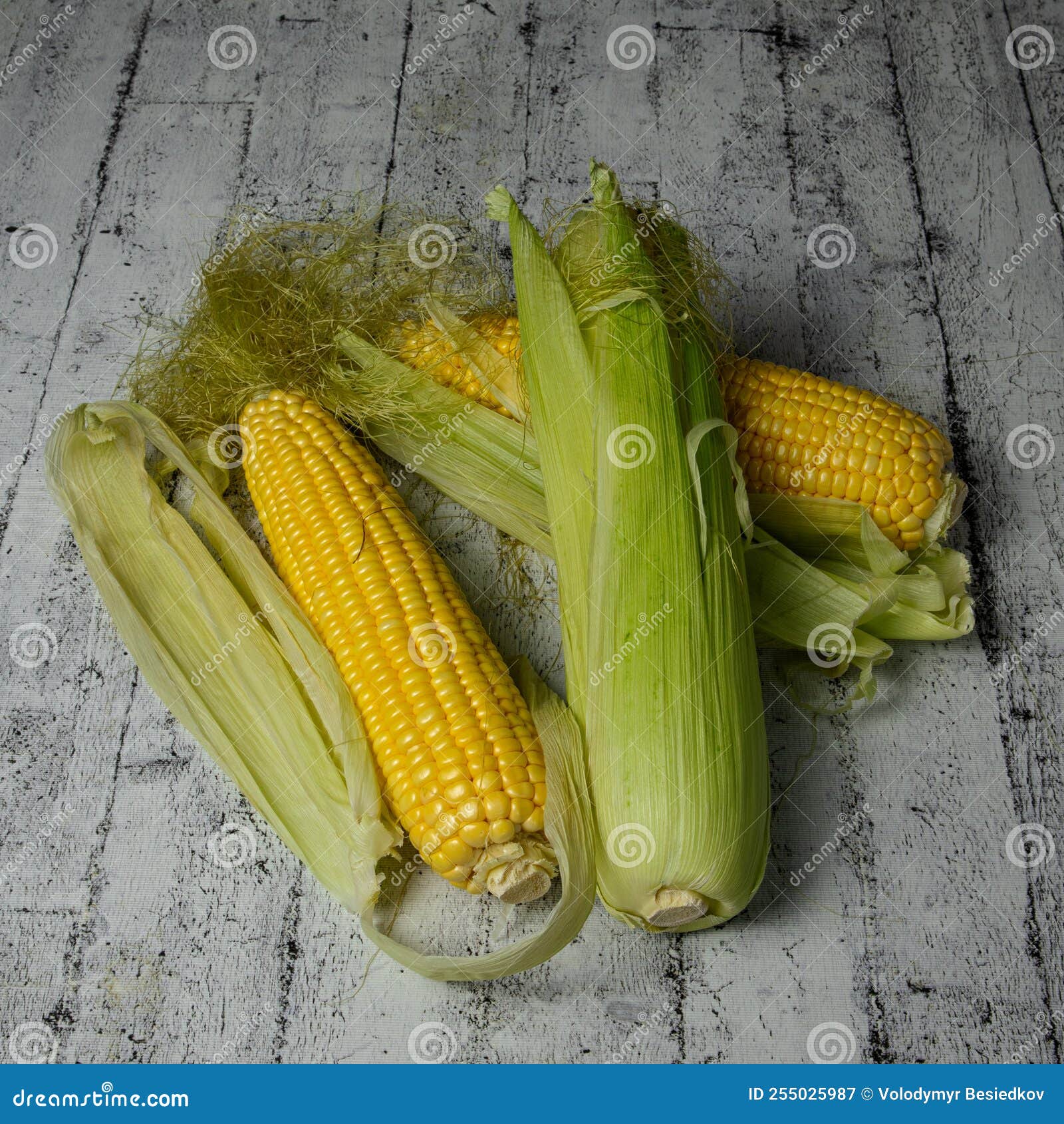 Corn stock image. Image of nutrition, ears, ripe, sweet - 255025987