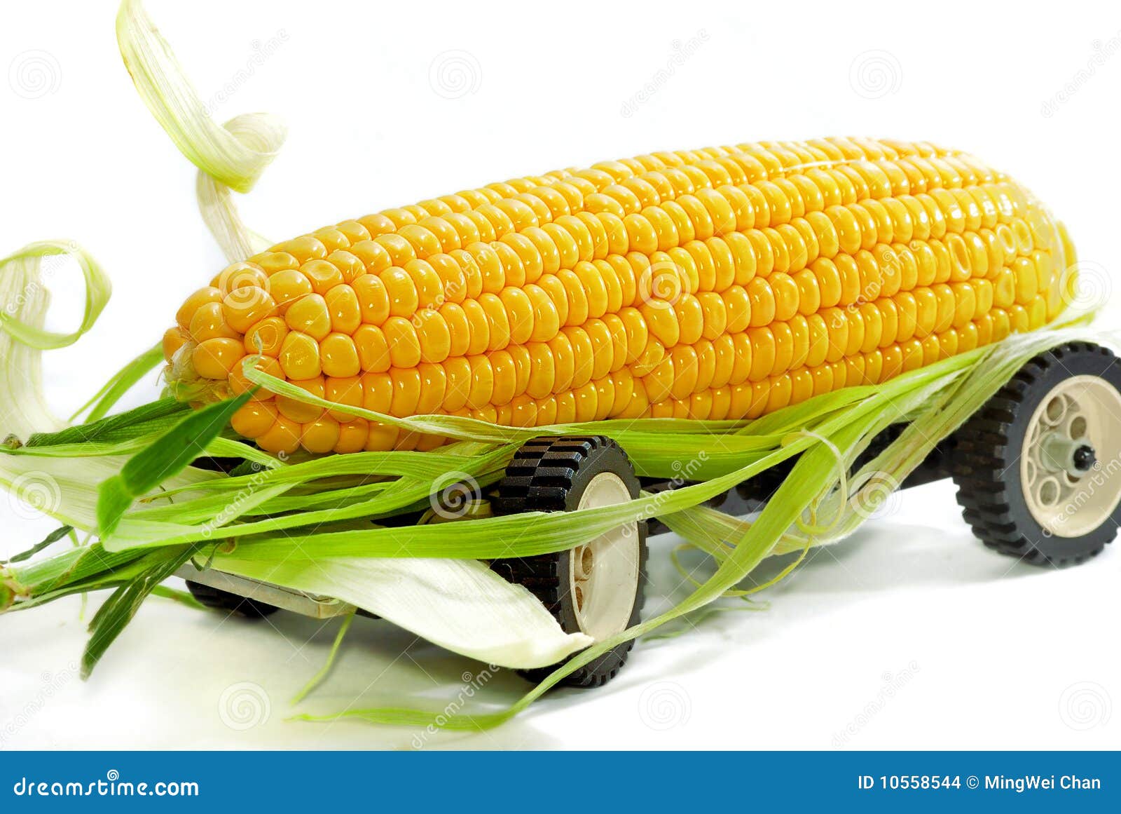 Corn Truck 01 stock photo. Image of freshness, transportation - 10558544