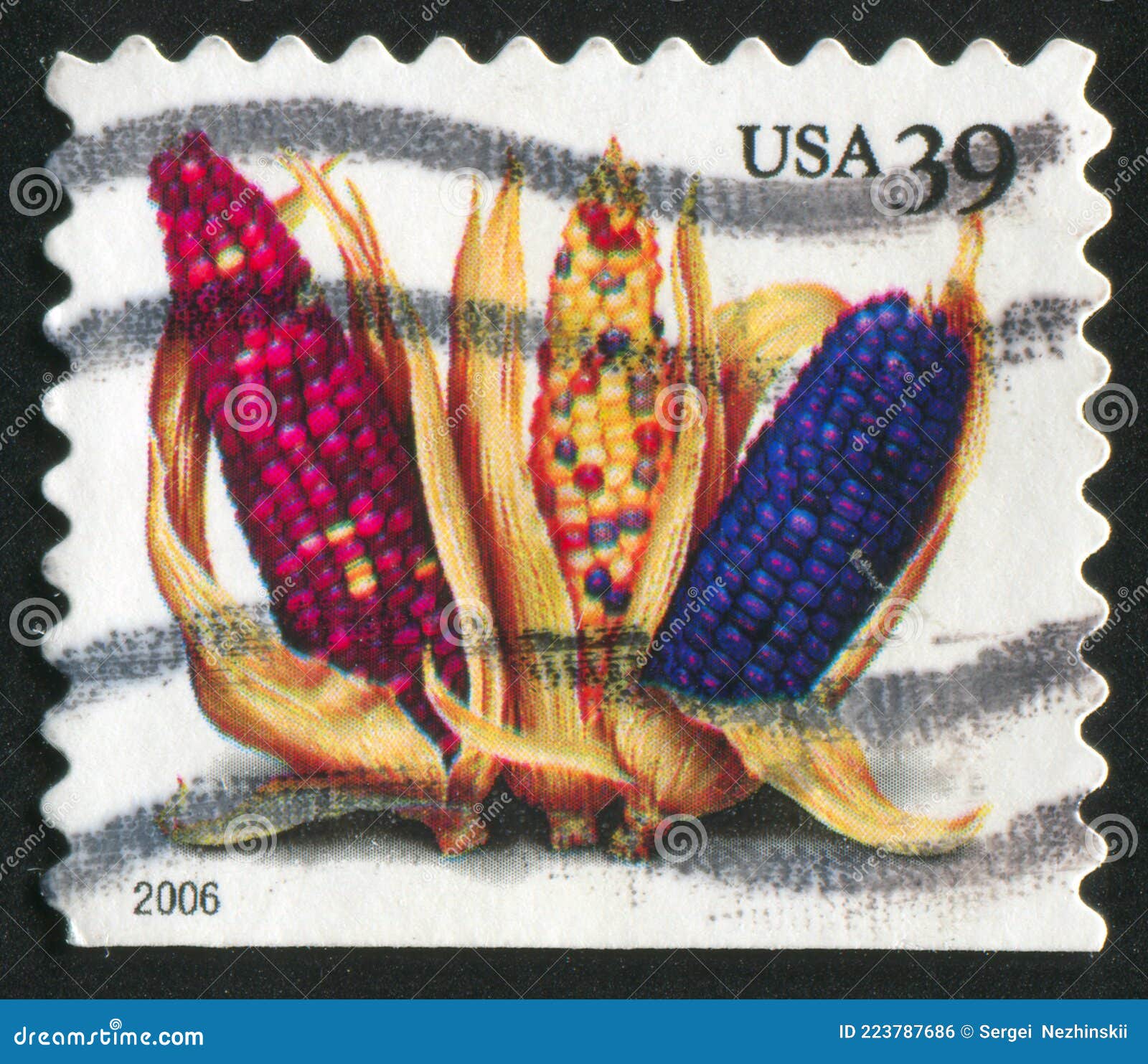 Corn editorial photo. Image of aged, message, corn, food - 223787686