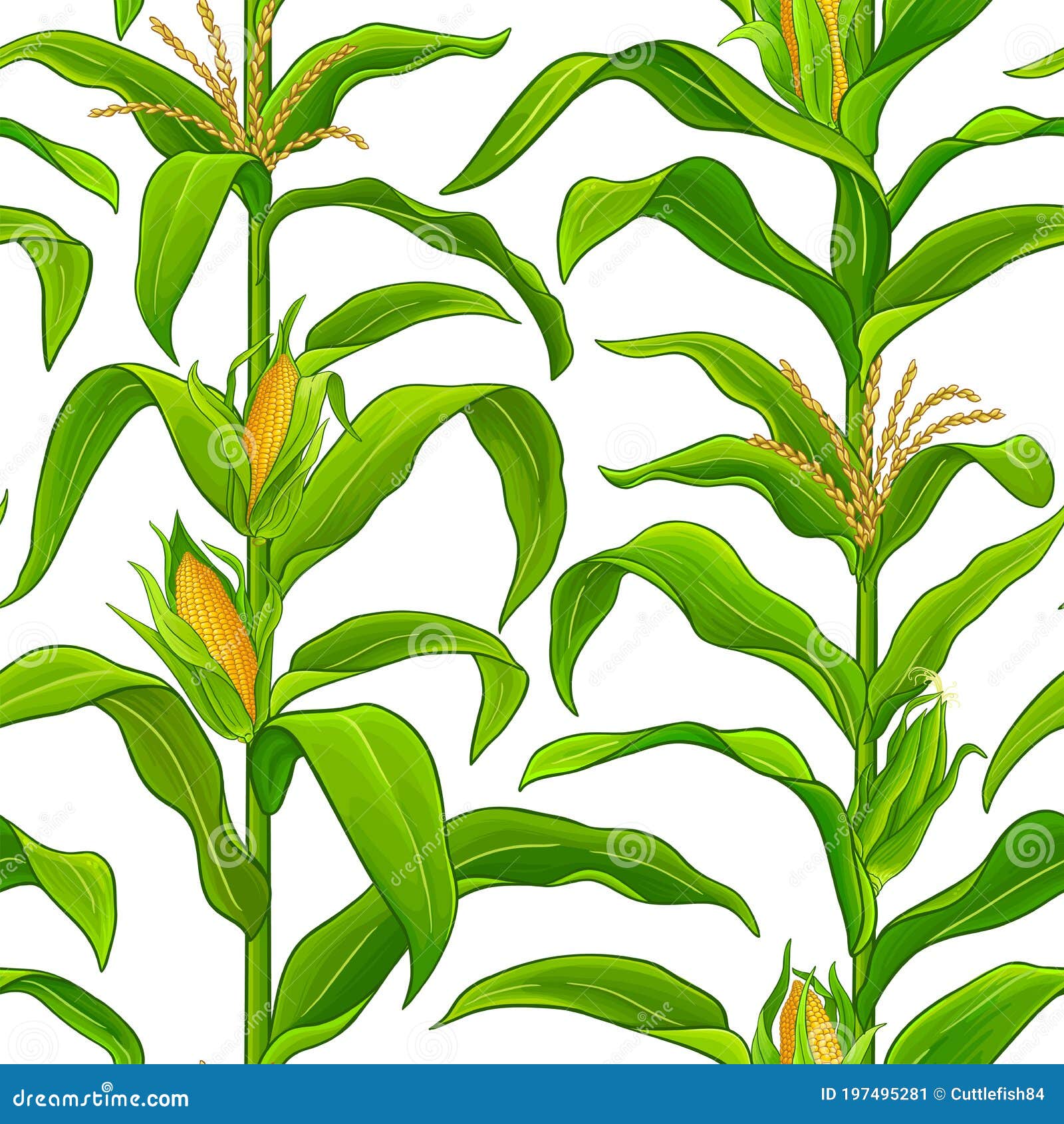 Corn vector pattern stock vector. Illustration of maize - 197495281