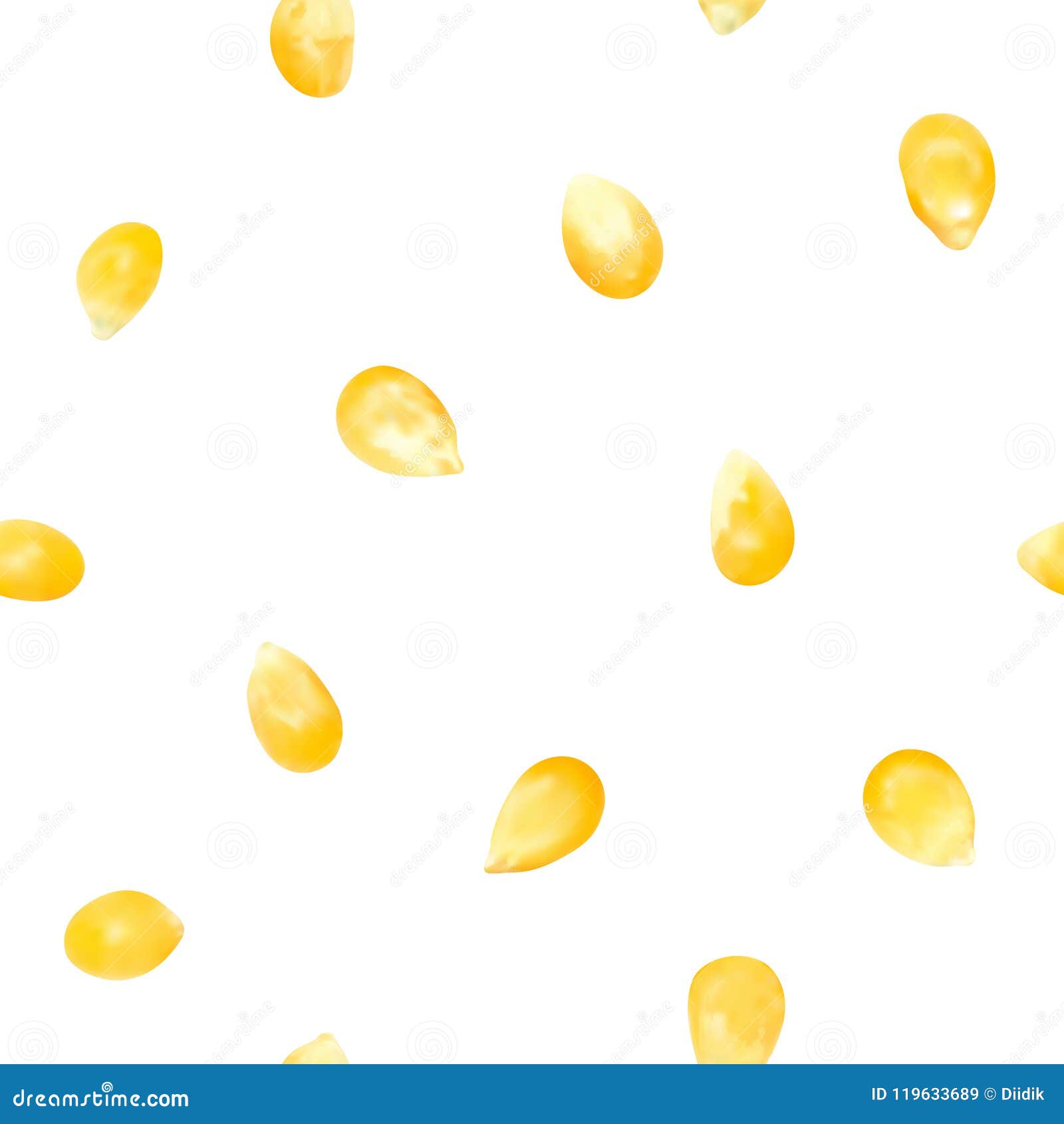 Corn Vector Seeds Isolated on White Background. Stock Vector ...