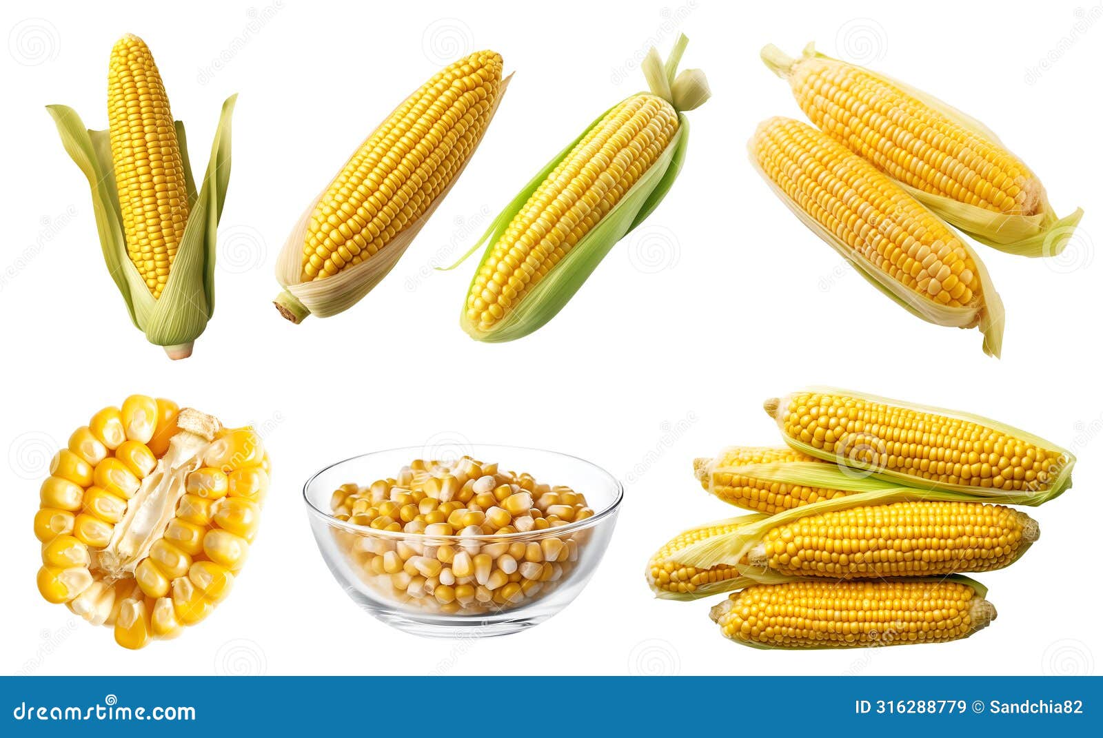 Corn Vegetable Fruit, Many Angles and View Side Top Front Cluster Stalk ...