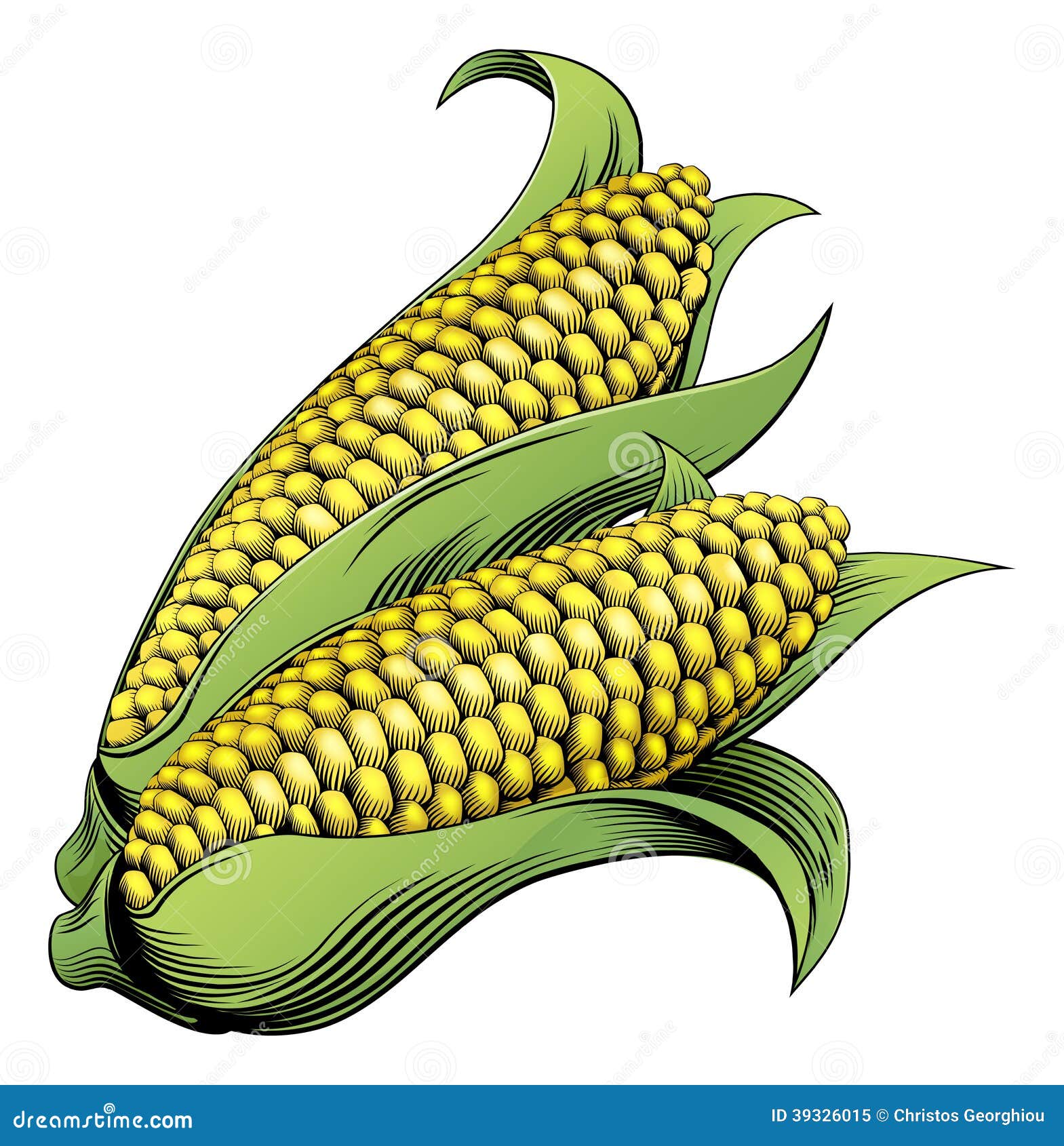 Vintage Corn Illustration