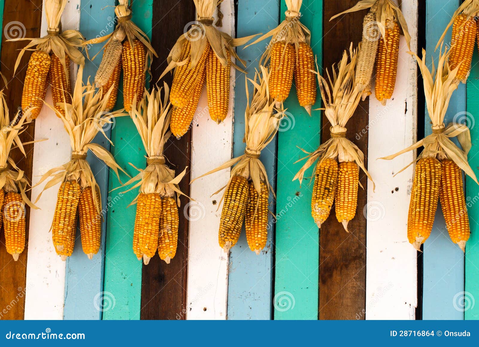 Corn on wall stock photo. Image of board, painted, stain - 28716864