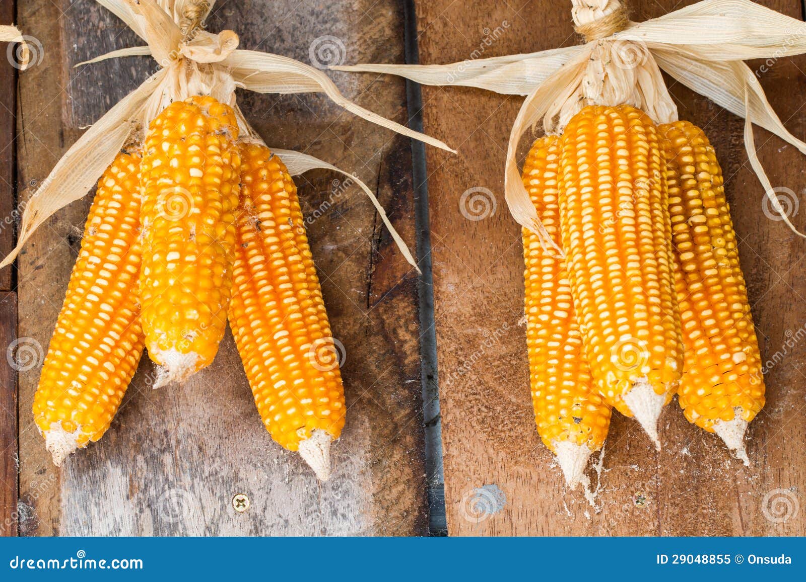 Corn on wall stock image. Image of grass, construction - 29048855