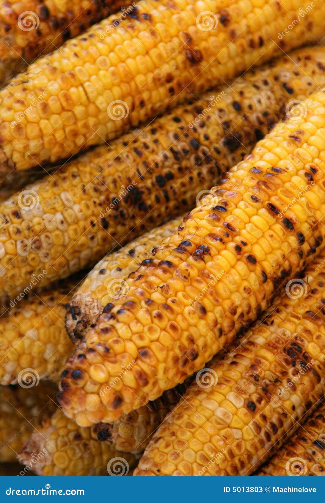 Corn Wall stock image. Image of delicious, picnic, corn - 5013803