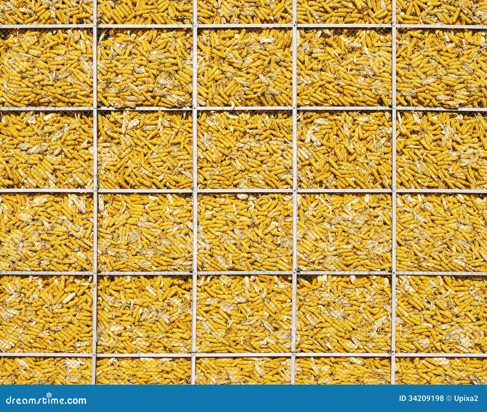 Corn, Wall, Yellow, Natural, Memory Stock Photo - Image of yellow ...