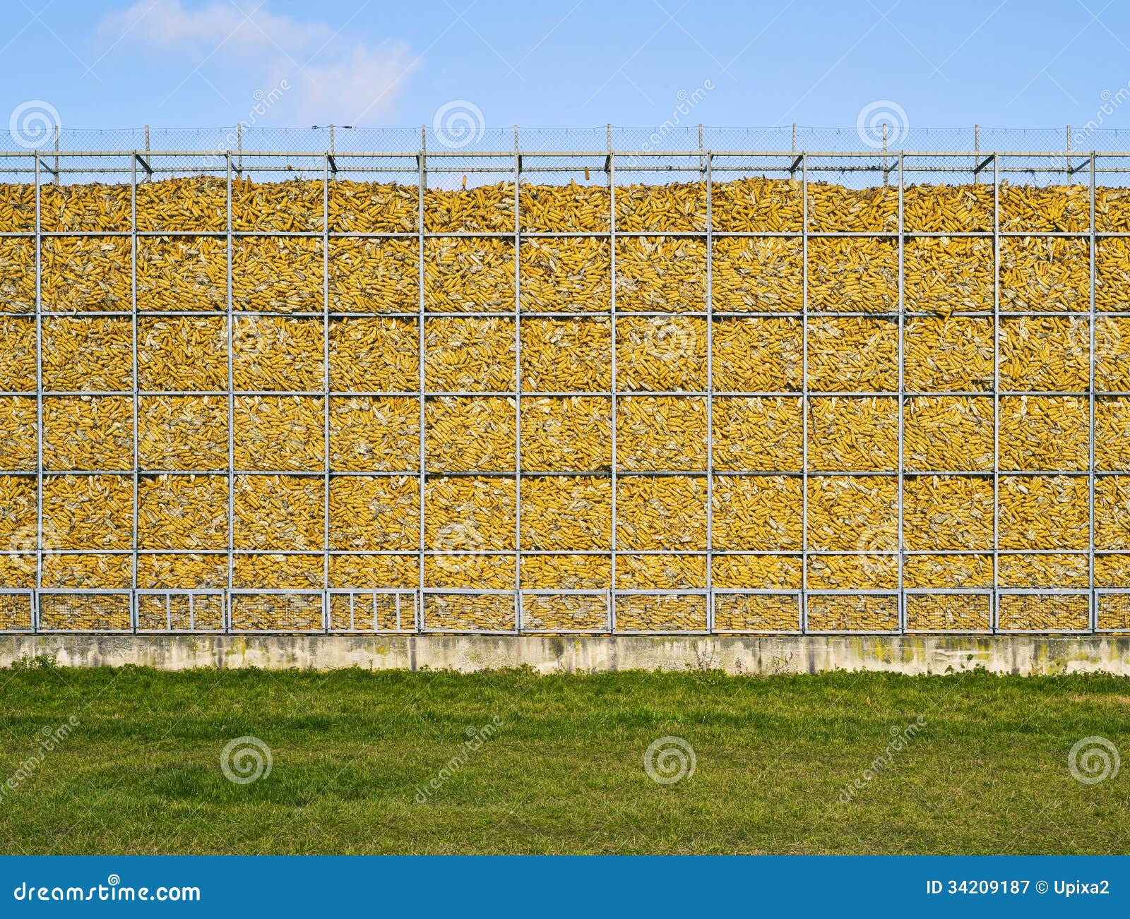 Dry Corn Wall Stock Photography | CartoonDealer.com #92888294