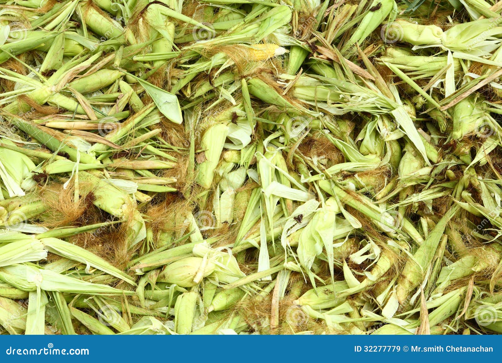 Corn waste stock image. Image of texture, organic, peeled - 32277779