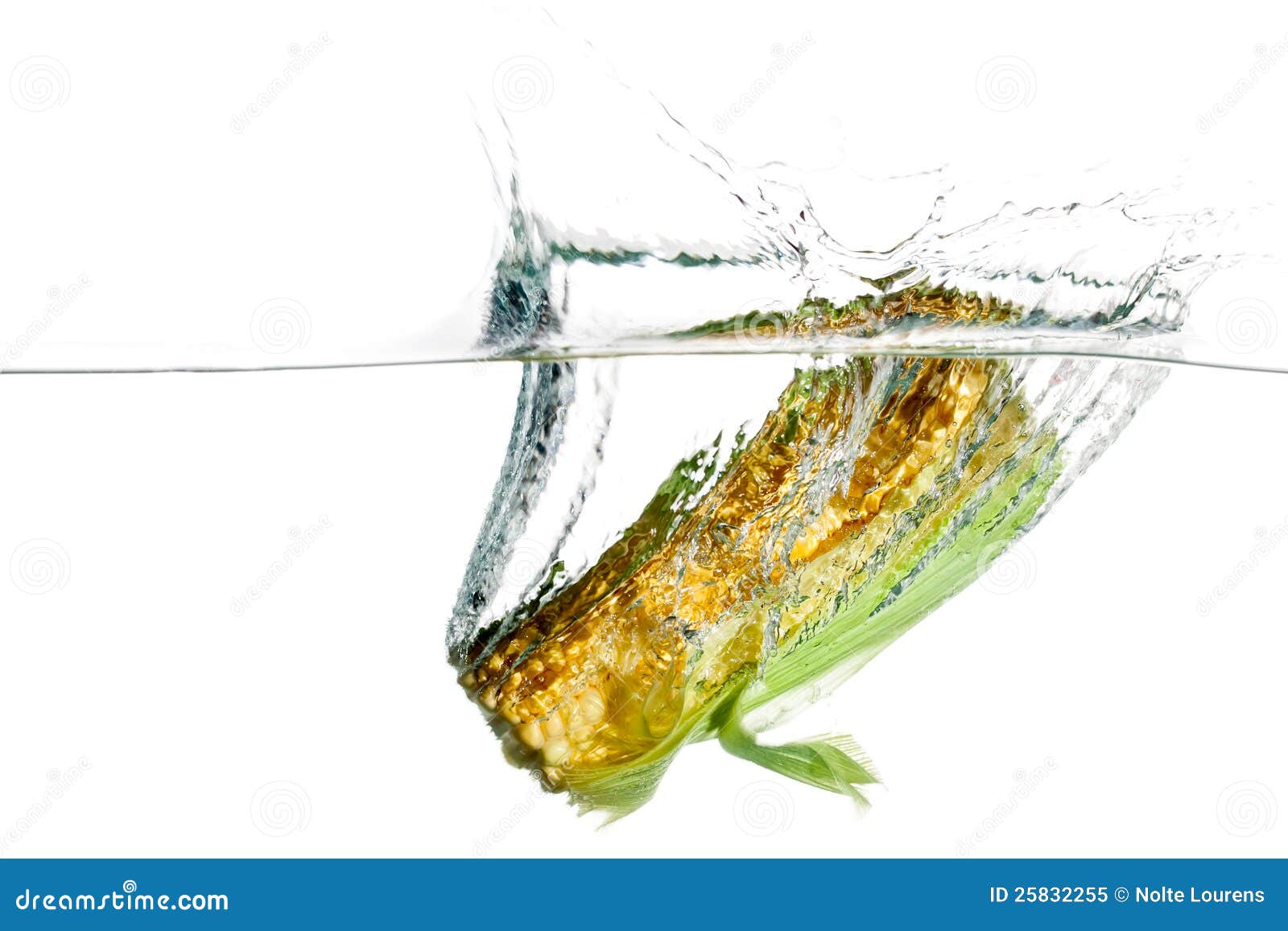 Corn in water stock image. Image of drop, fruit, organic - 25832255