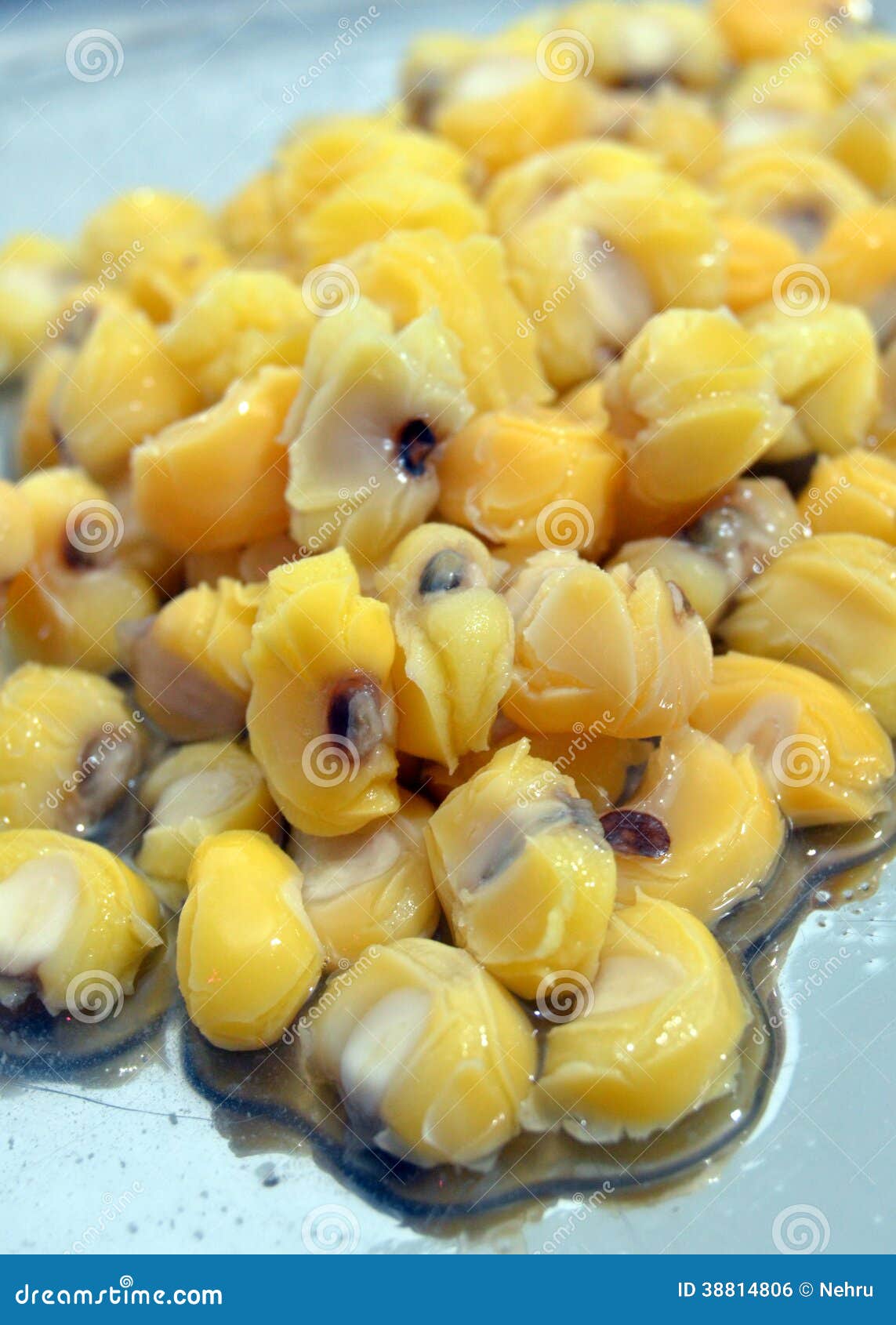 Corn in a water stock photo. Image of stripes, october - 38814806