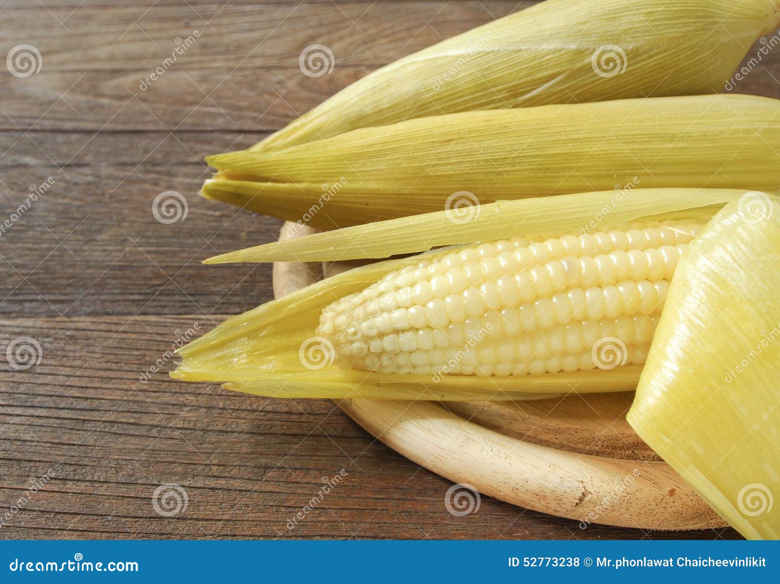 Corn stock photo. Image of healthy, harvest, nature, summer - 52773238