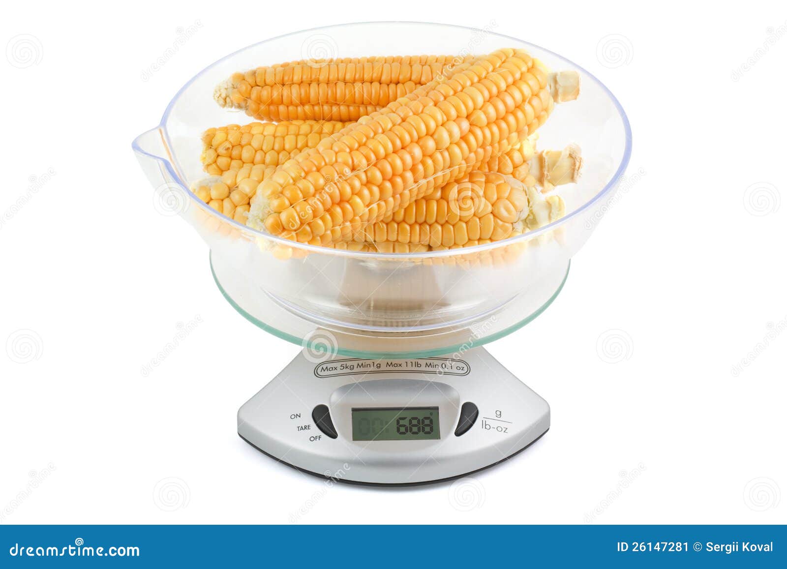 Corn Weighed in the Balance Stock Image - Image of close, instrument ...
