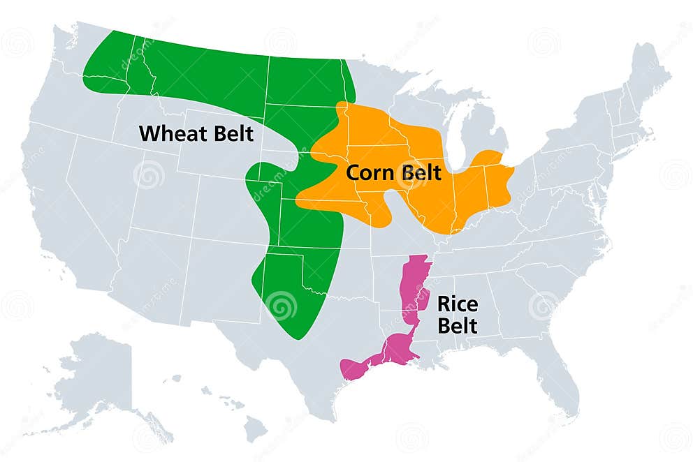 Corn Belt, Wheat Belt and Rice Belt of the United States, Political Map ...