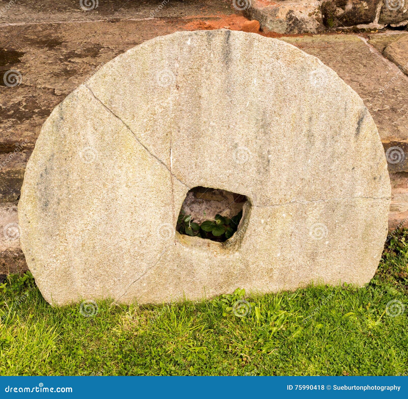 Corn wheel stock photo. Image of congleton, stone, corn - 75990418