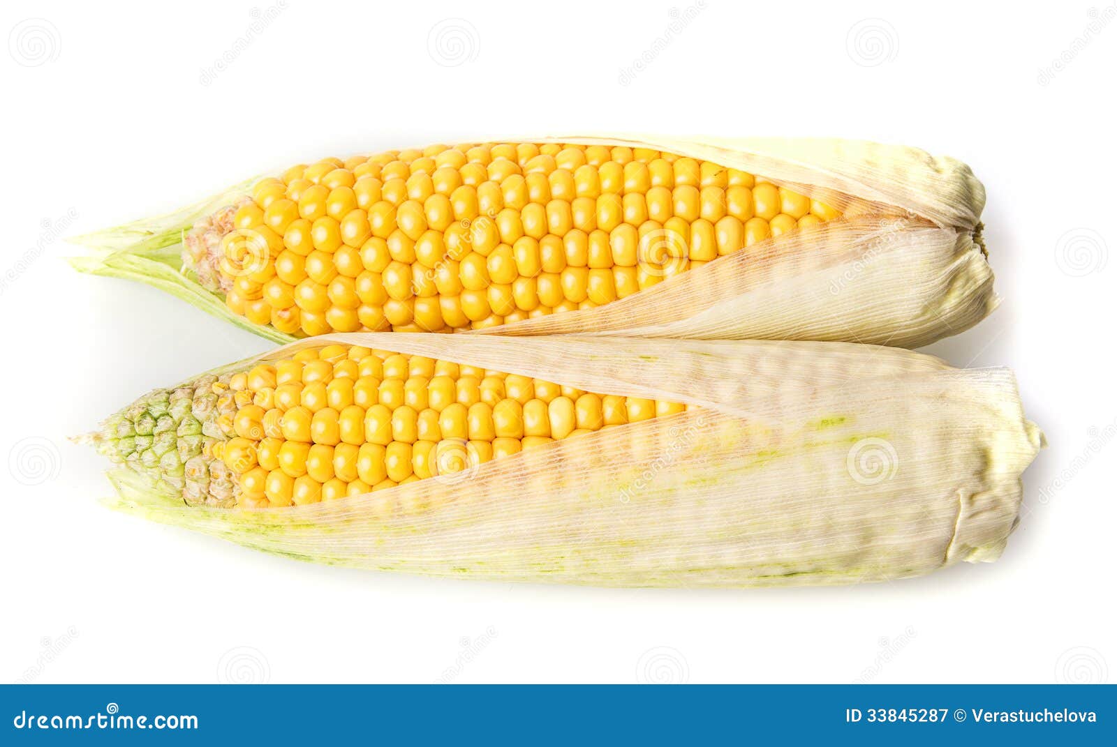 Corn stock image. Image of farm, harvest, maize, vegetable - 33845287