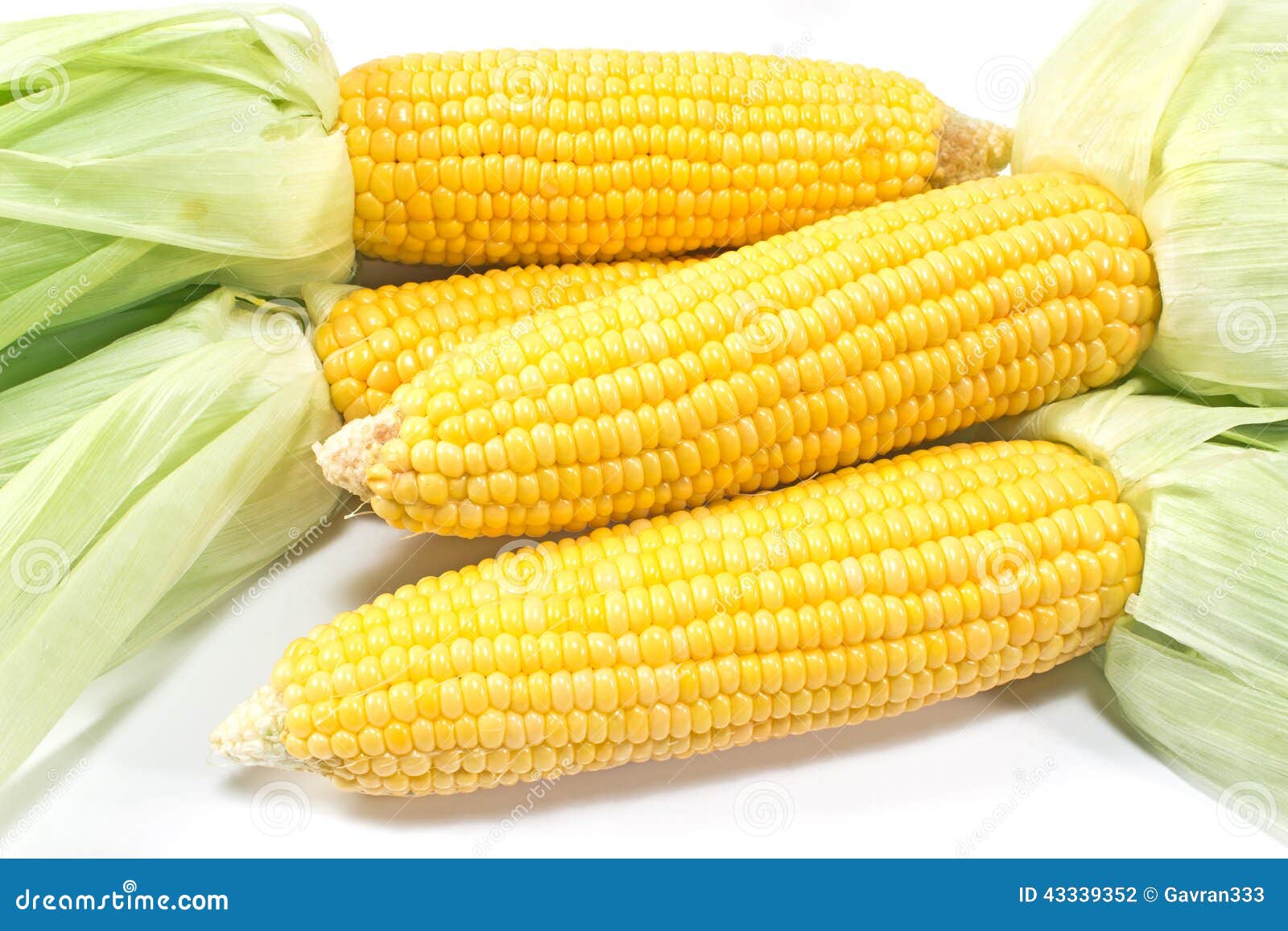 Corn on white stock photo. Image of diet, background - 43339352