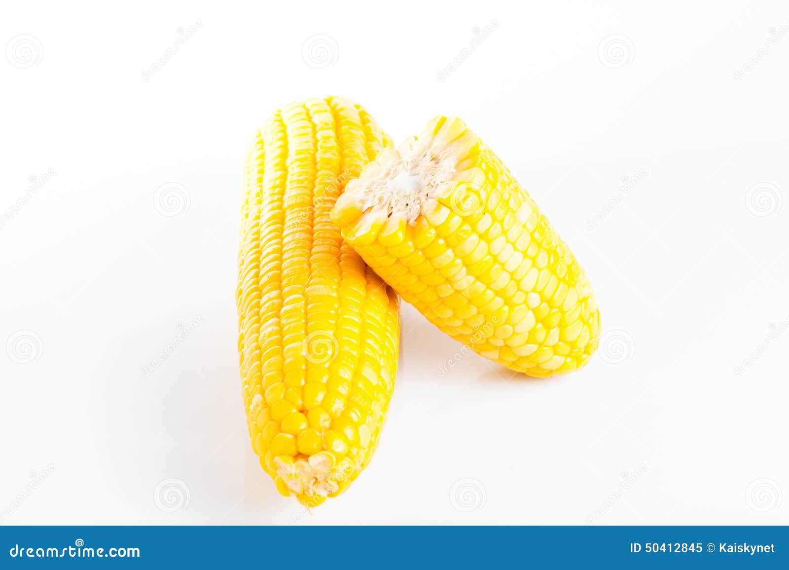 Corn on white background stock image. Image of sweetcorn - 50412845