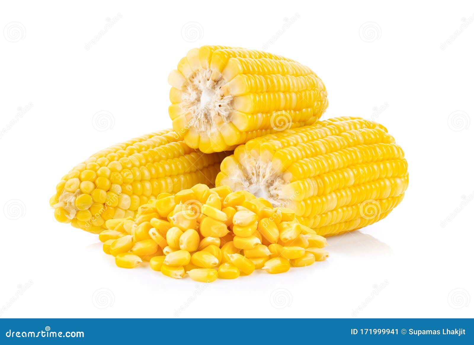 Corn on white background stock image. Image of agriculture - 171999941